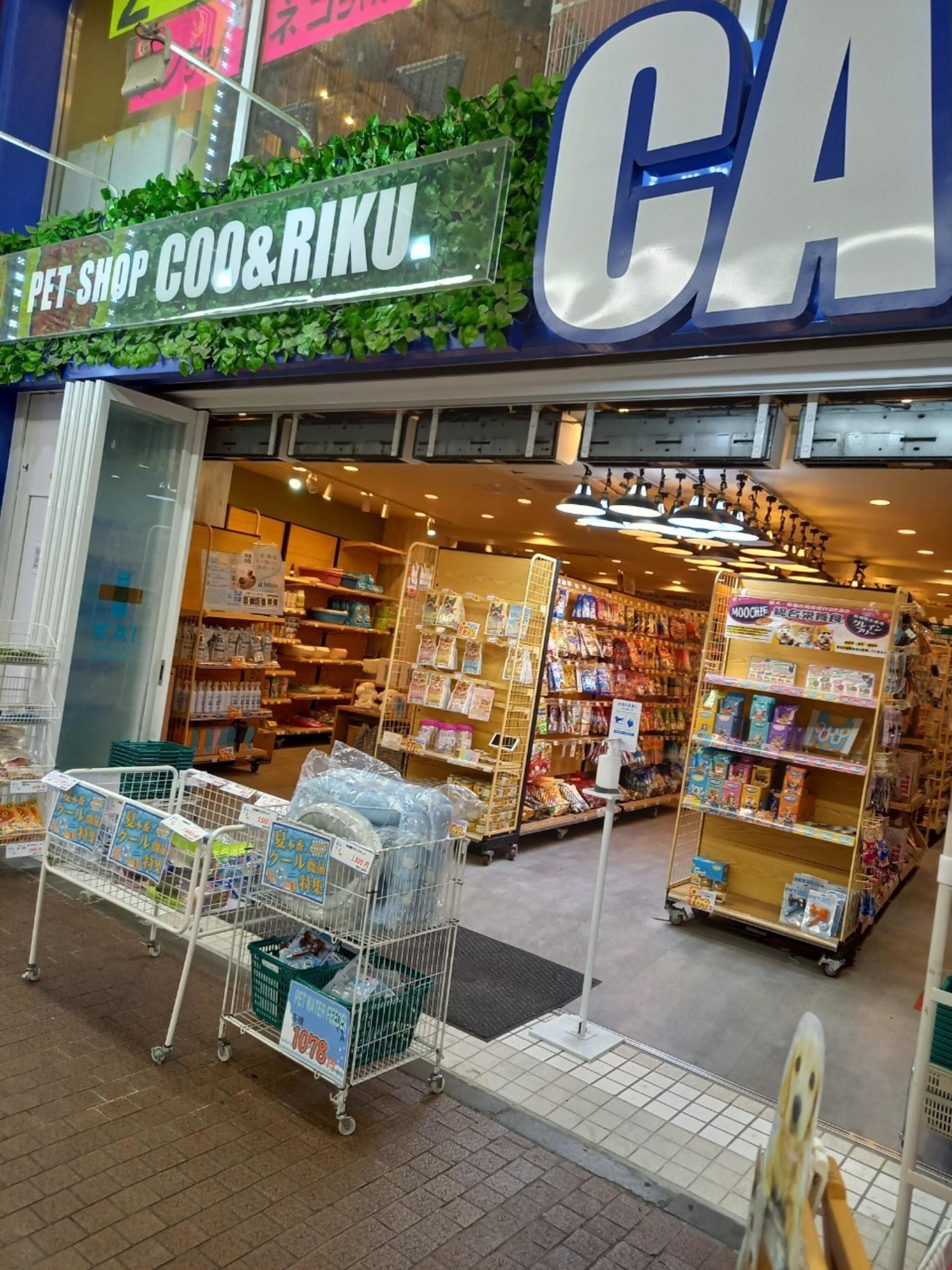 Coo&RIKU 川崎銀柳街店 - 川崎市川崎区砂子/ペットショップ | Yahoo!マップ
