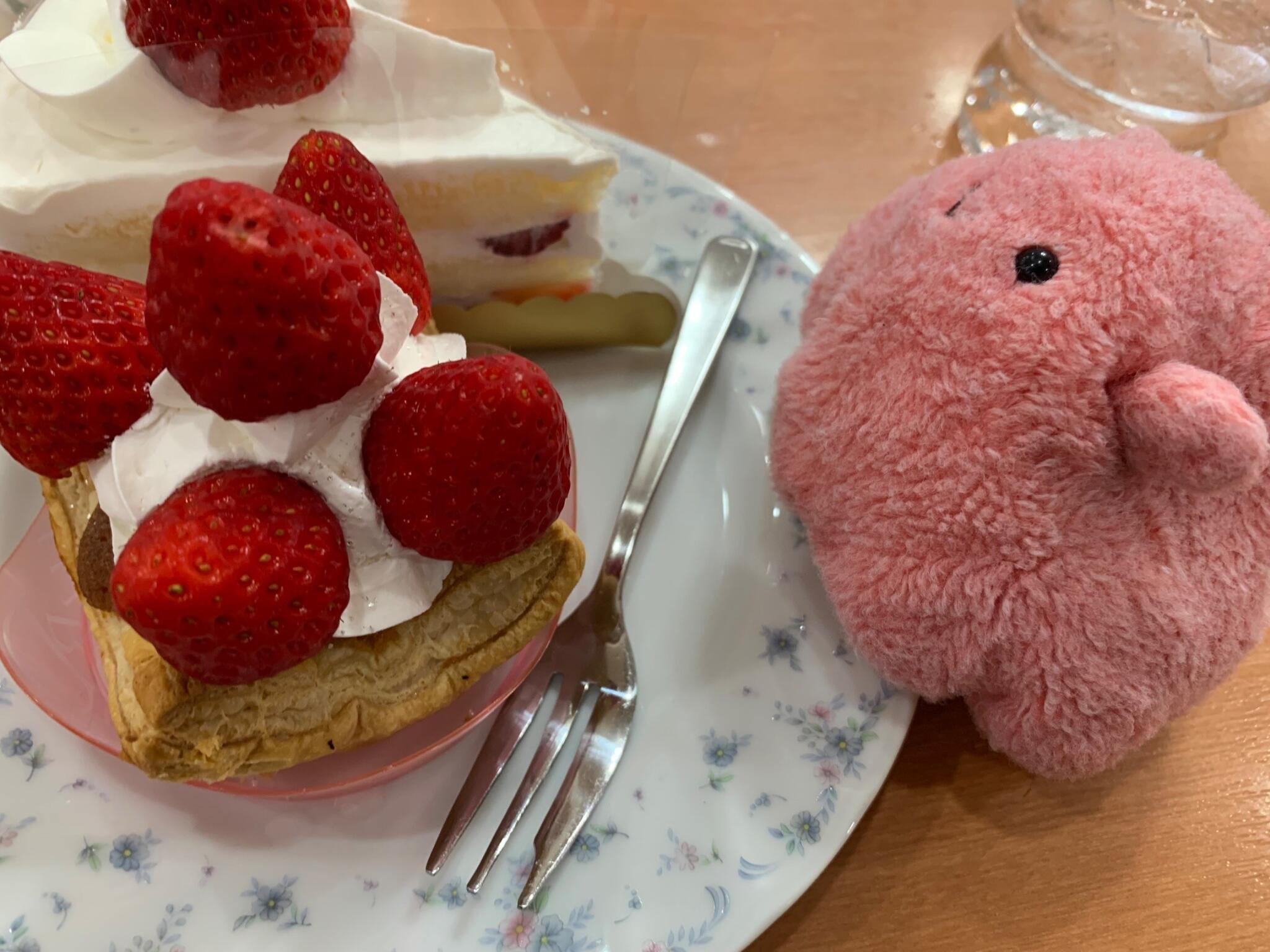 不二家 洋菓子 MEGAドン・キホーテUNY大覚寺店 - 焼津市大覚寺/スイーツ店 | Yahoo!マップ