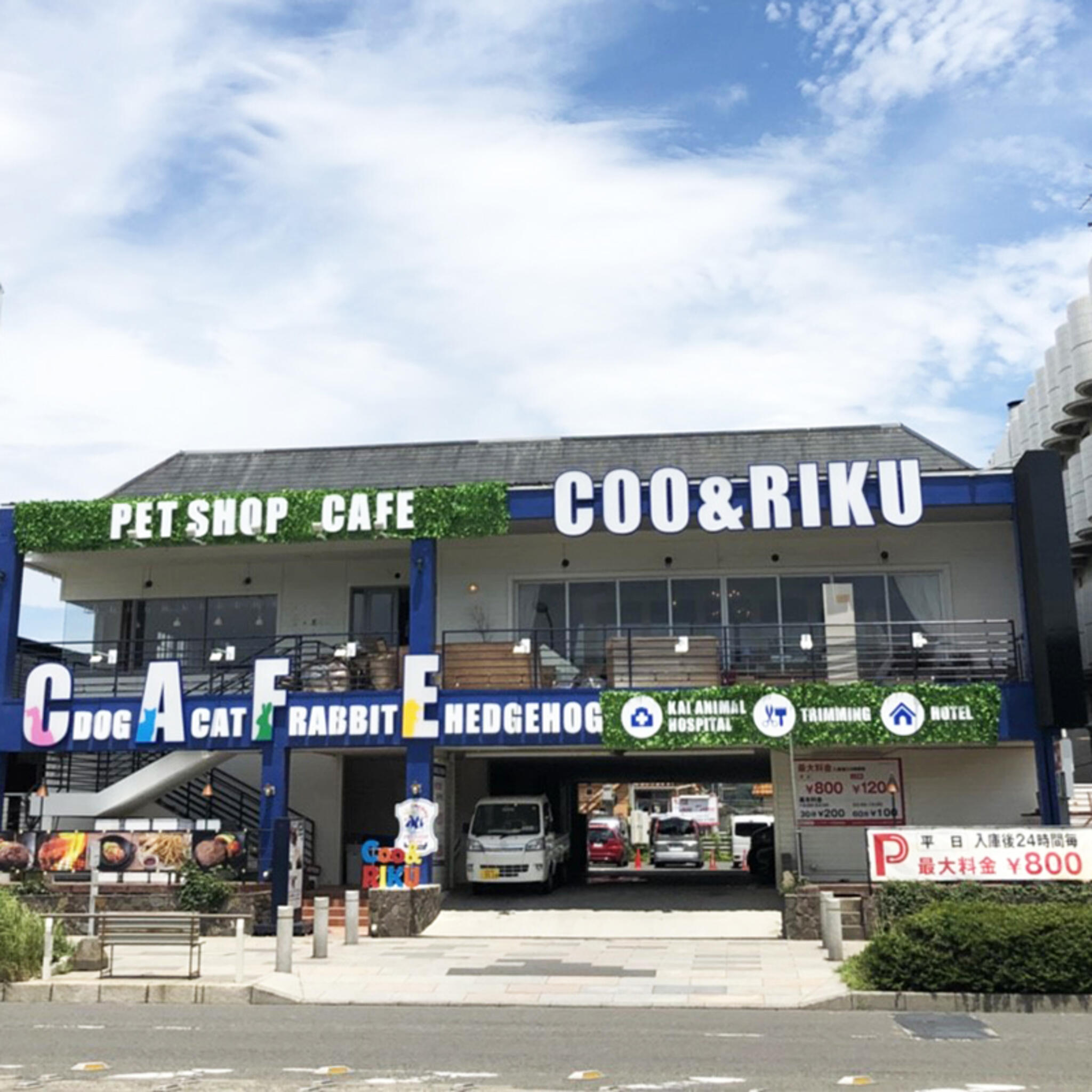 COO&RIKU 江の島店 - 藤沢市片瀬海岸/ペットショップ | Yahoo!マップ