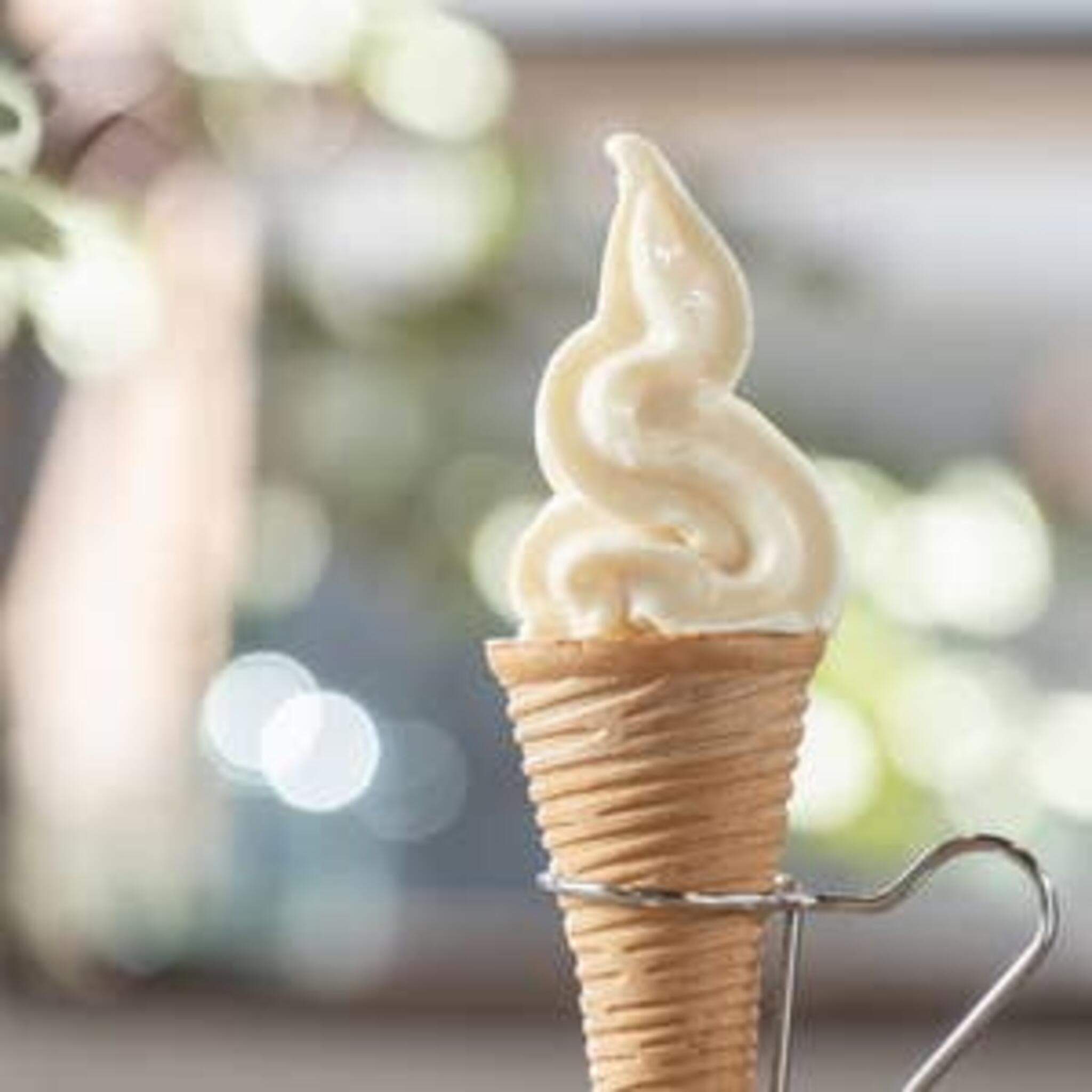 写真 : Coco cafe 24 - 横浜市鶴見区東寺尾中台/カフェ・喫茶 | Yahoo!マップ