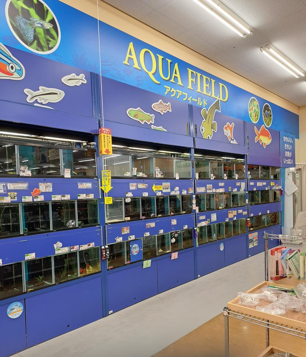 DCM 筑西横島店 - 筑西市横島/ホームセンター | Yahoo!マップ