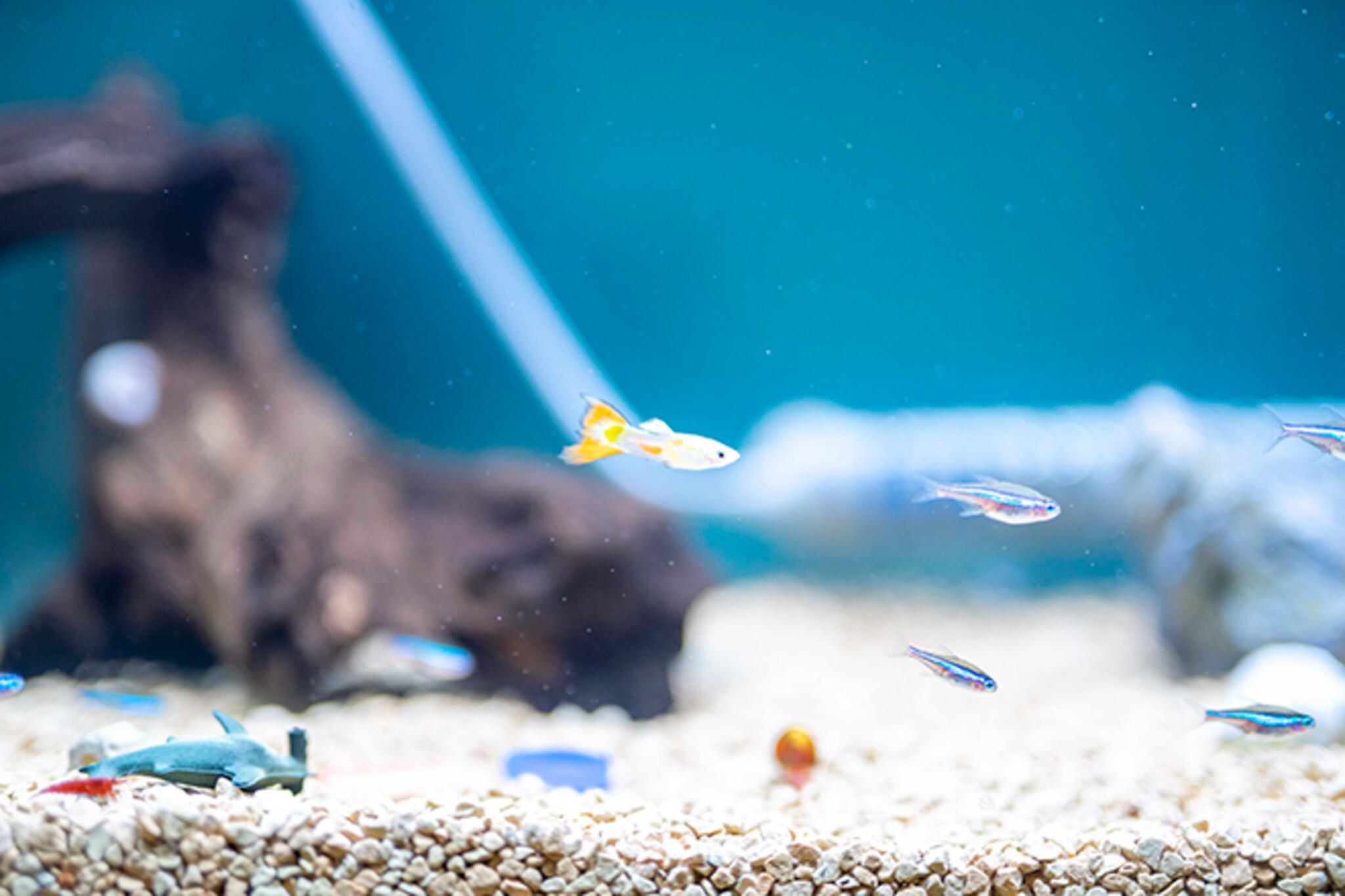 MDMリハ整体院 - 須坂市大字米持/指圧・マッサージ【ネット予約OK】 | Yahoo!マップ