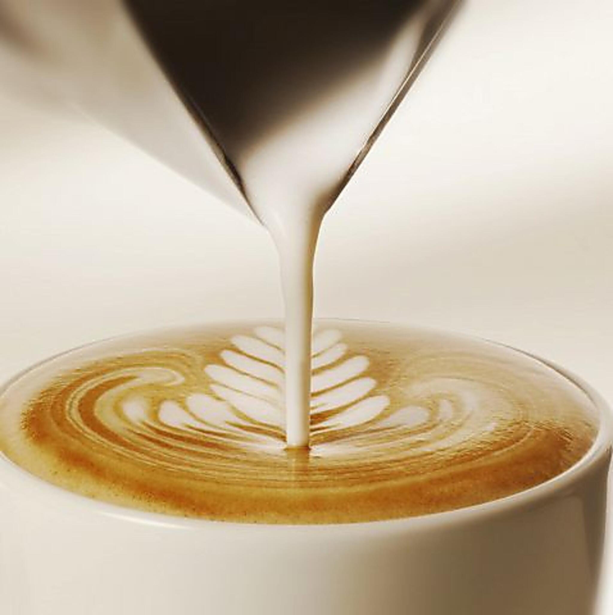 illy CAFFE 有楽町イトシア店 - 千代田区有楽町/カフェバー | Yahoo!マップ