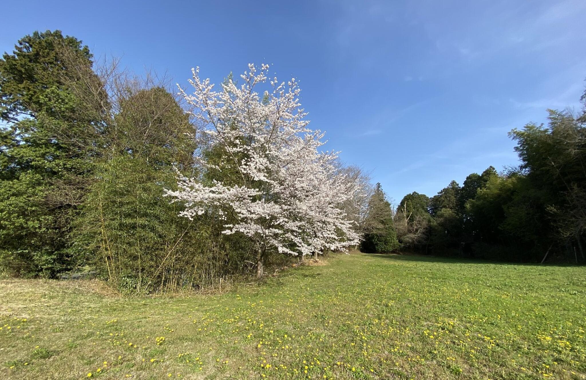 EBIHARA BASE CAMP SITE - 甲賀市甲賀町小佐治/キャンプ場【ネット予約OK】 | Yahoo!マップ