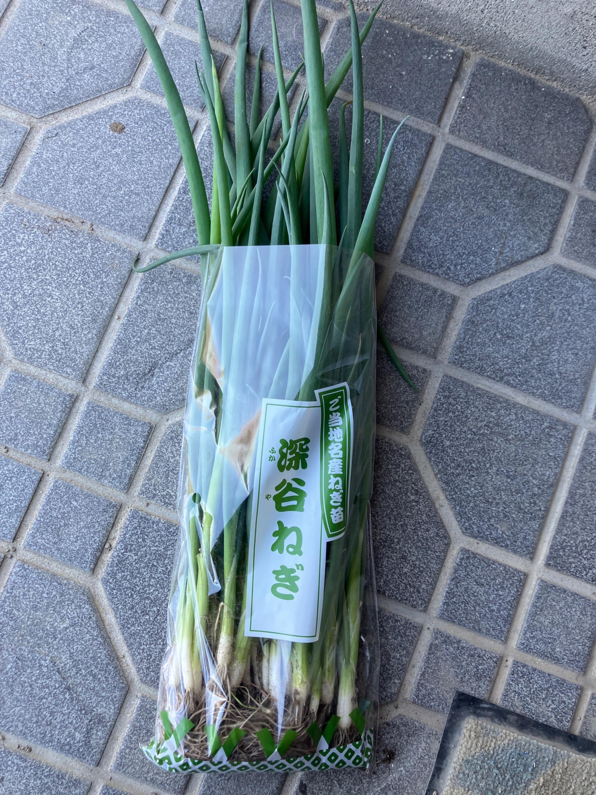 写真 : コメリハード＆グリーン鴻巣吹上店 - 鴻巣市南/ホームセンター【ネット予約OK】 | Yahoo!マップ