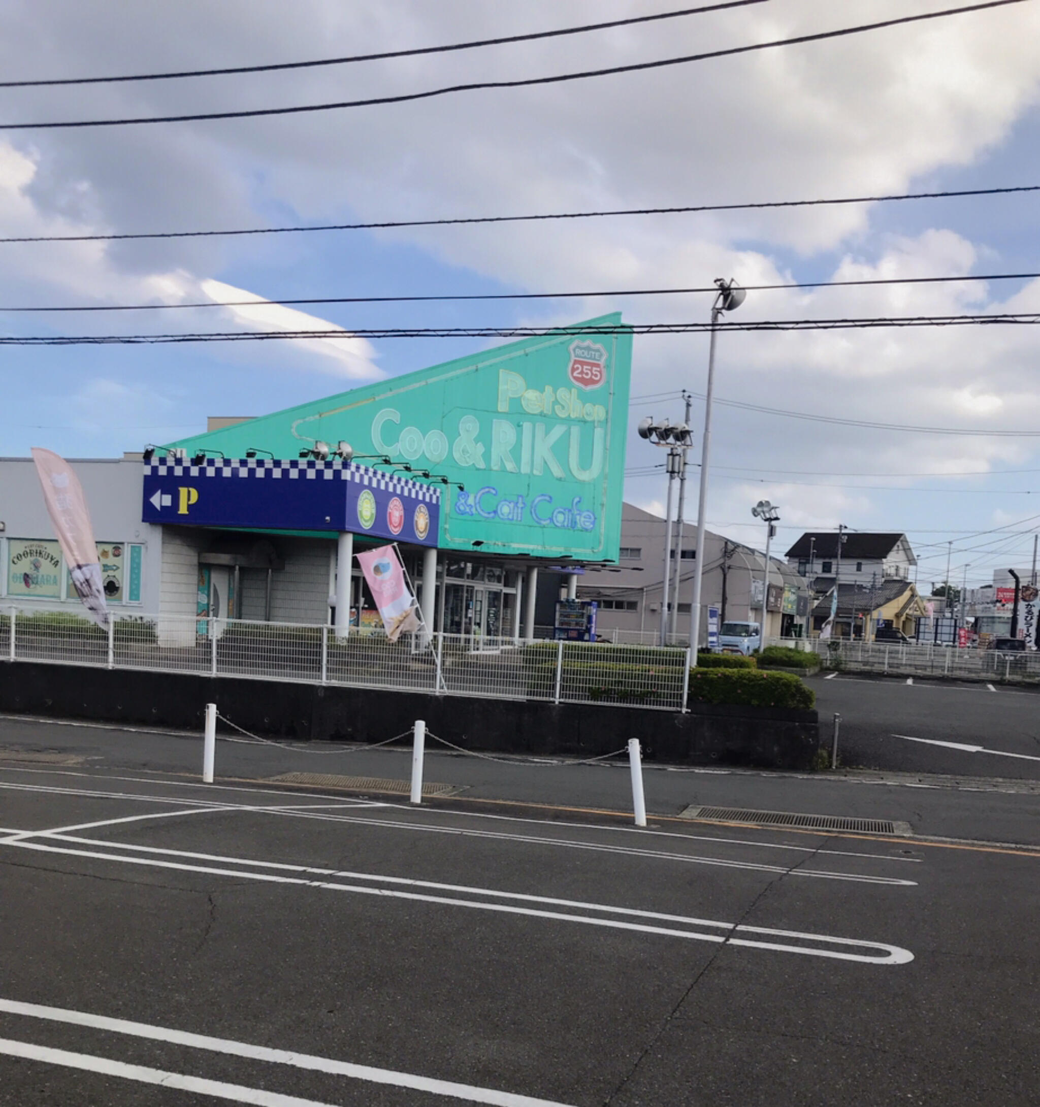 COO&RIKU 小田原店 - 小田原市成田/ペットショップ | Yahoo!マップ