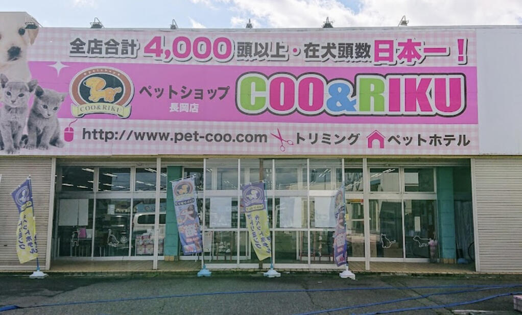 COO&RIKU 長岡店 - 長岡市喜多町/ペットショップ | Yahoo!マップ