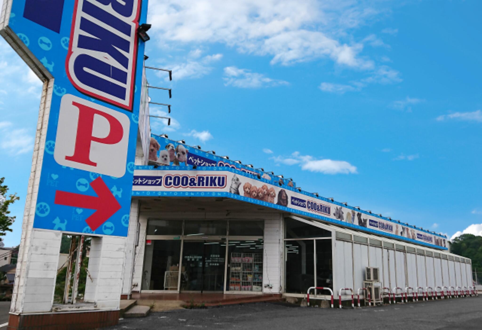 COO&RIKU 黒崎店 - 北九州市八幡西区茶売町/ペットショップ | Yahoo!マップ