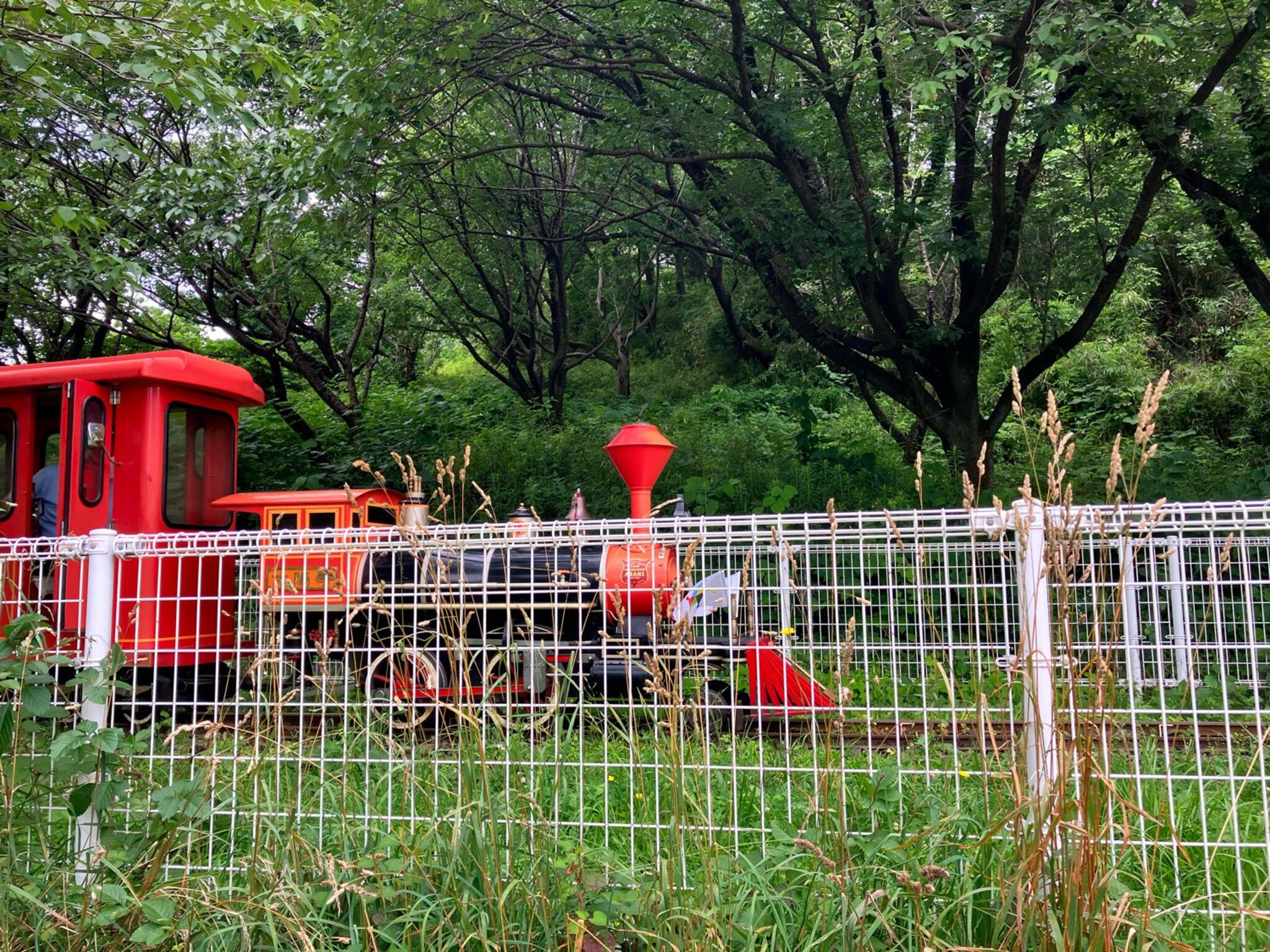 ミニSL太陽号のりば - 横浜市青葉区奈良町/ | Yahoo!マップ