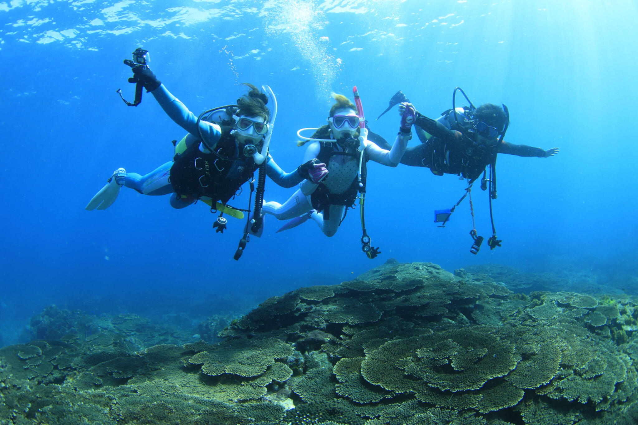 mic21 東京/池袋店 - 豊島区東池袋/ダイビングショップ | Yahoo!マップ