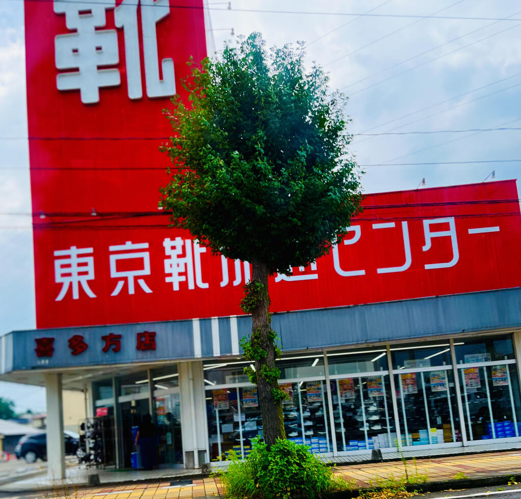 写真 : 東京靴流通センター 喜多方店 - 喜多方市関柴町上高額/靴店 | Yahoo!マップ