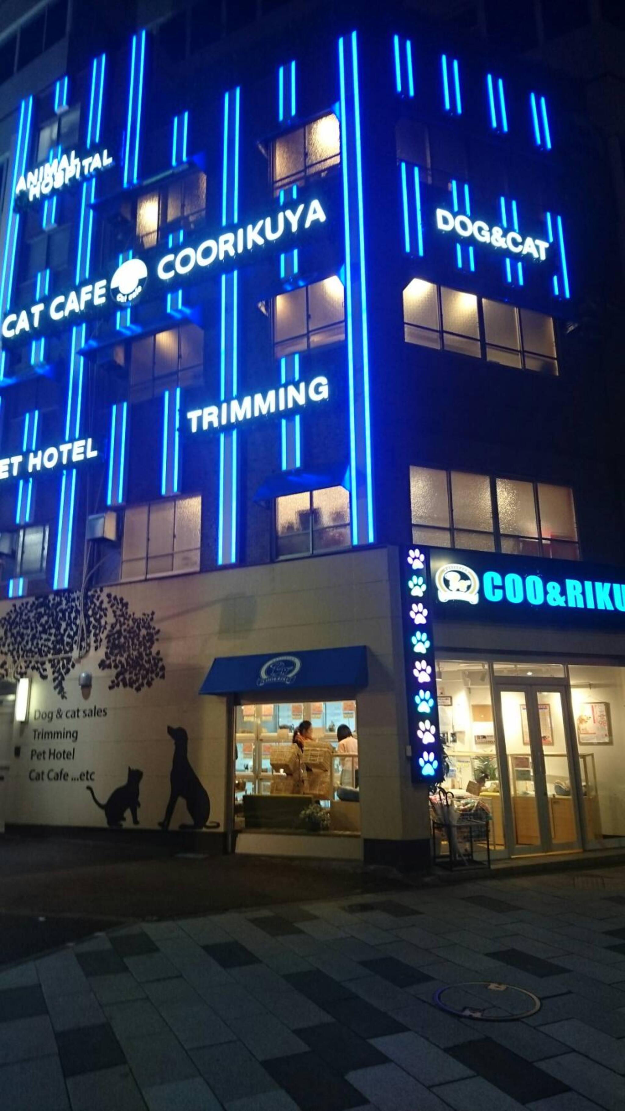 COO&RIKU 新宿三丁目店 - 新宿区新宿/ペットショップ | Yahoo!マップ