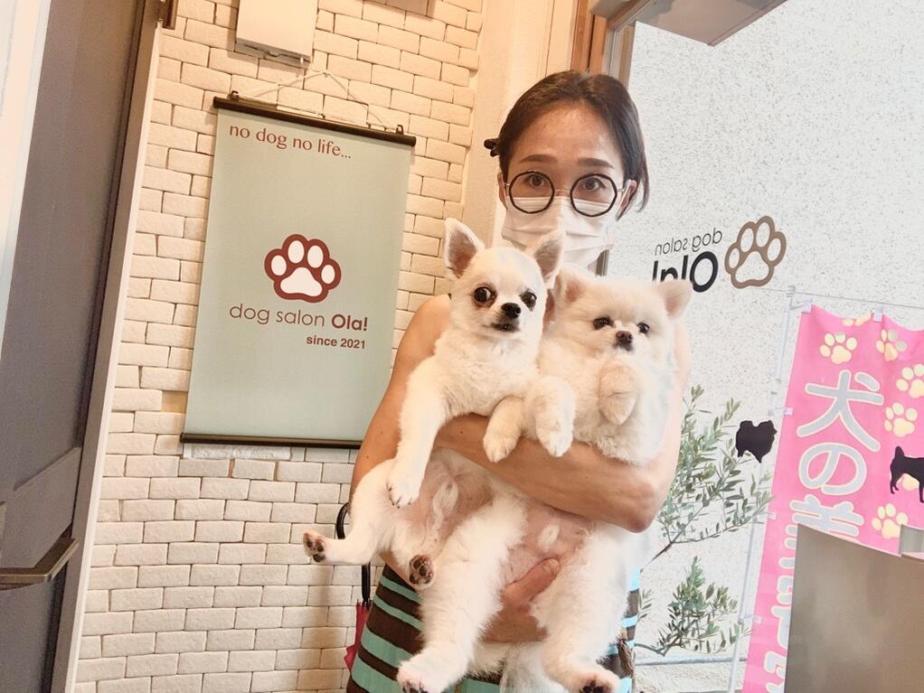 dog salon Ola! - 堺市中区土師町/ペット美容室【ネット予約OK】 | Yahoo!マップ