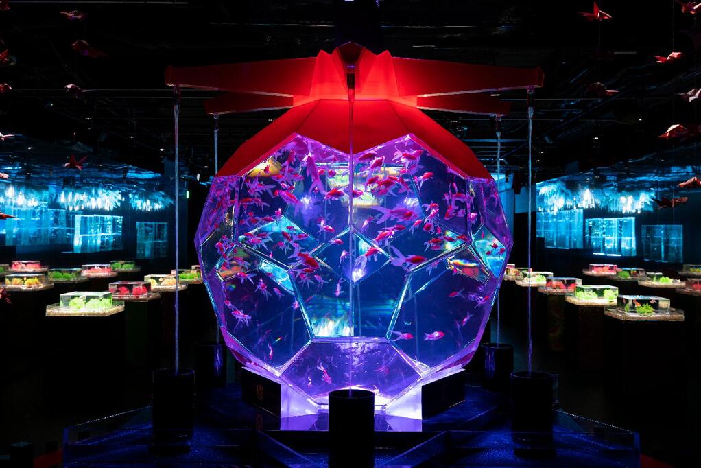 クチコミ : アートアクアリウム美術館 GINZA - 中央区銀座/美術館【ネット予約OK】 | Yahoo!マップ