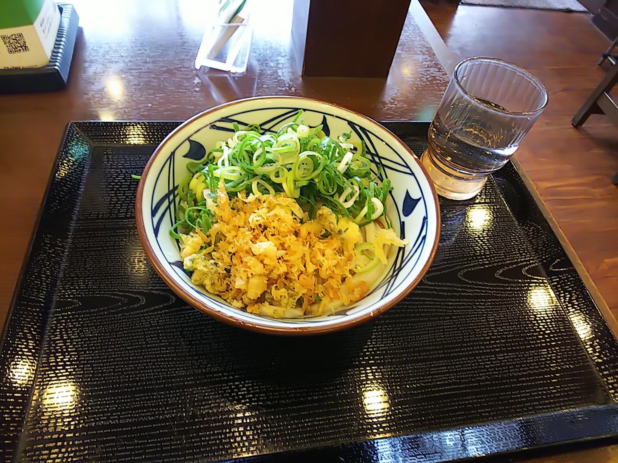 メニュー : 丸亀製麺 千葉C-ONE - 千葉市中央区富士見/讃岐うどん店 | Yahoo!マップ