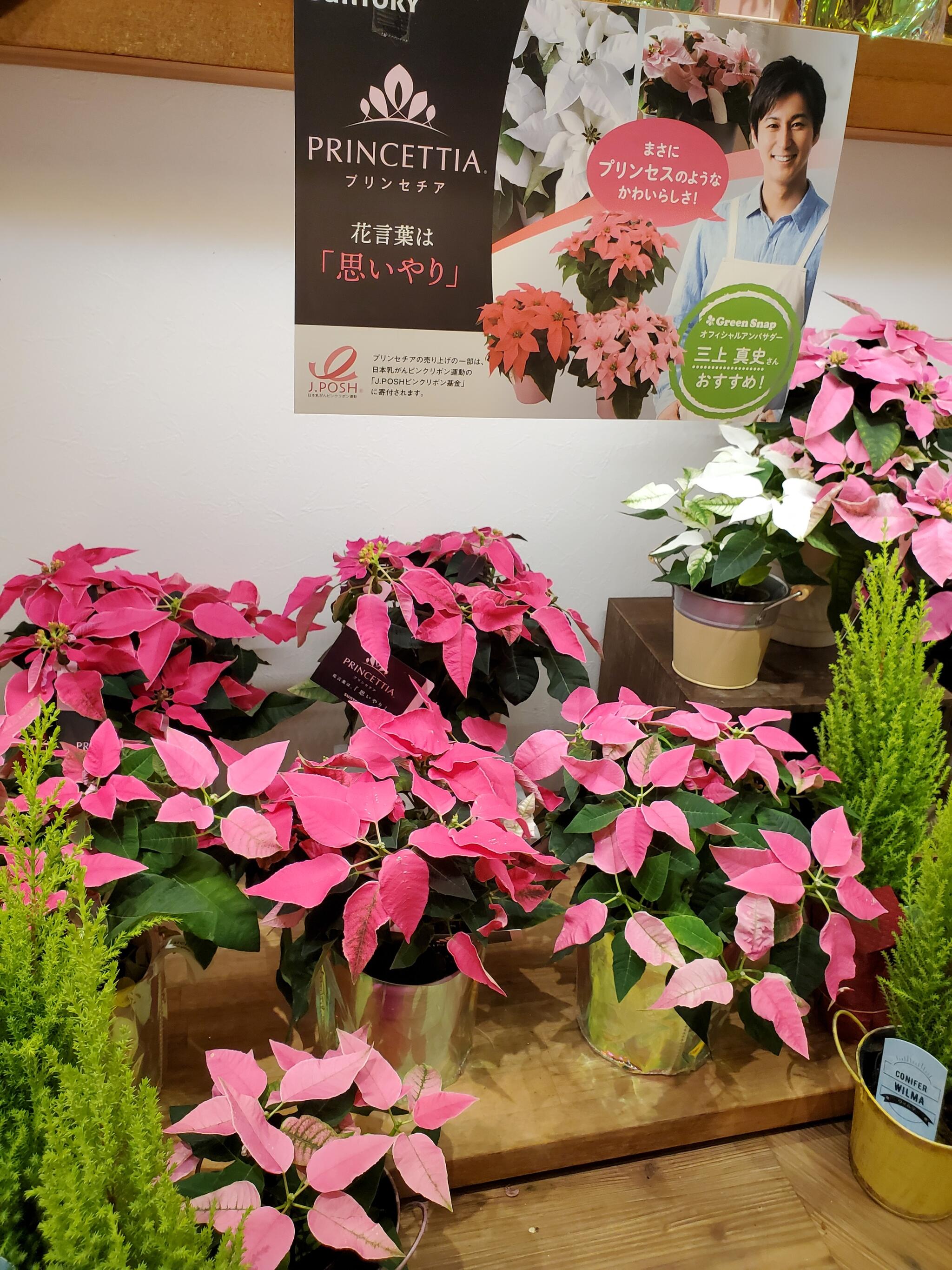 karendo イクスピアリ店 - 浦安市舞浜/花屋 | Yahoo!マップ