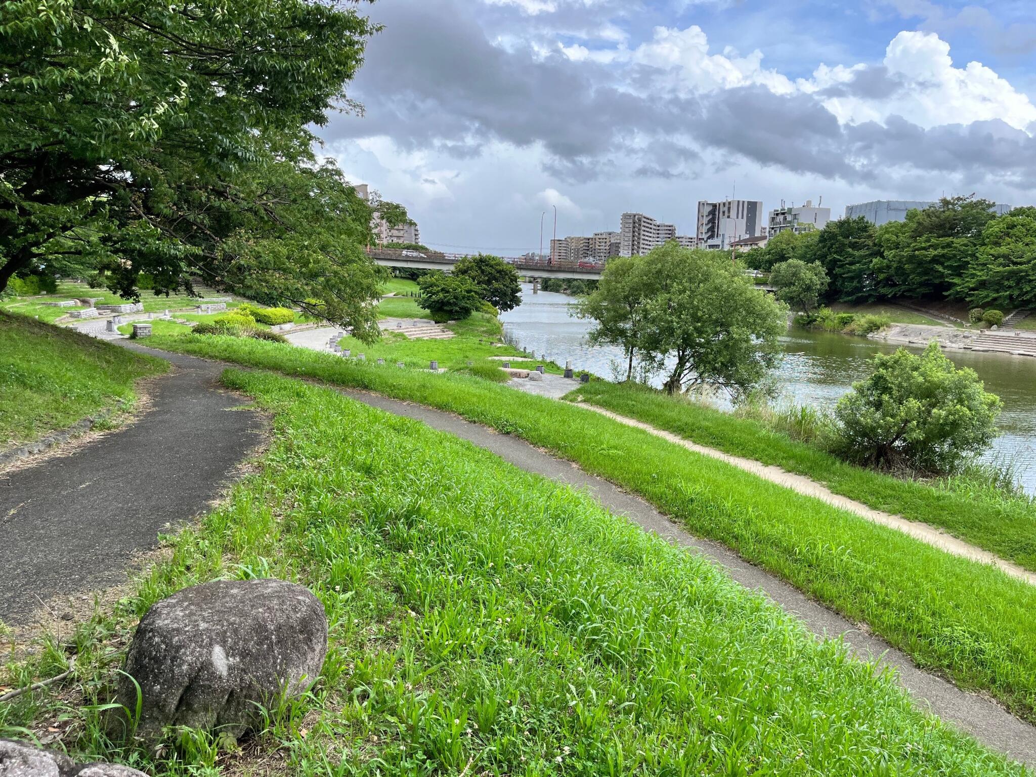 第37号那珂川河川緑地 - 福岡市博多区美野島/緑地 | Yahoo!マップ