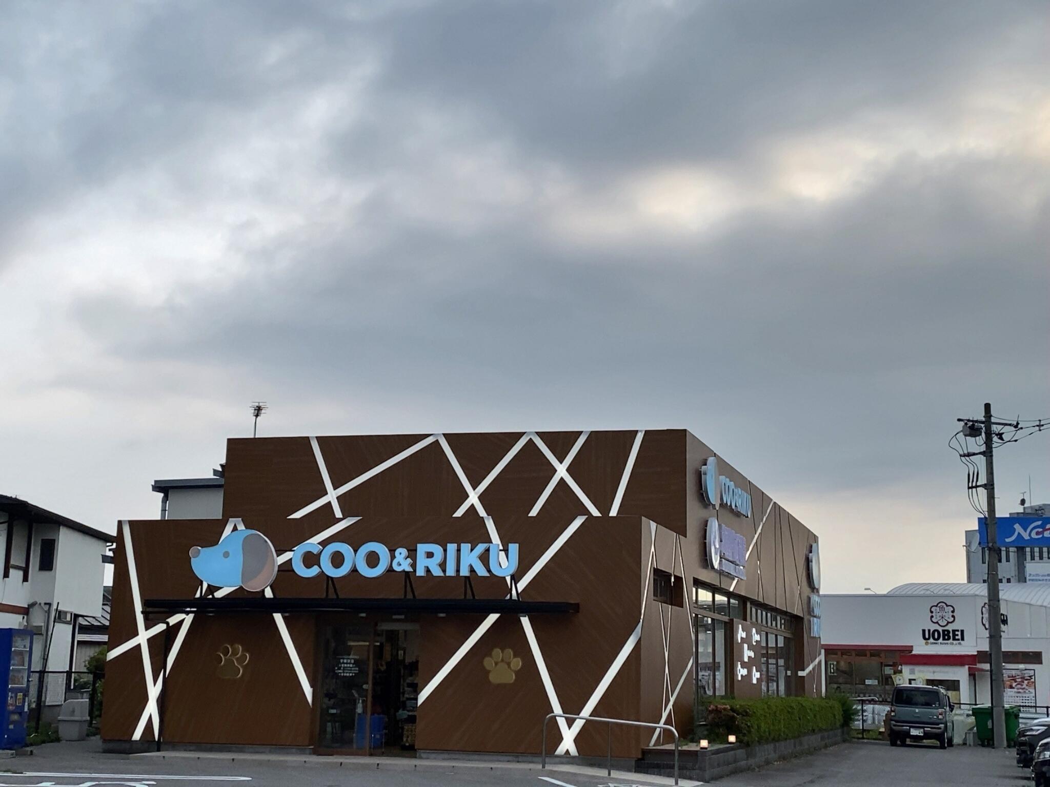 COO&RIKU 宇都宮店 - 宇都宮市御幸ケ原町/ペットショップ | Yahoo!マップ