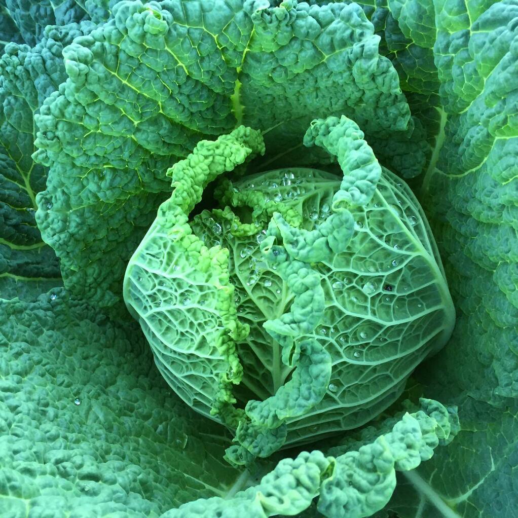 Bistorot Mon ami - 勝浦市荒川/フランス料理店【ネット予約OK】 | Yahoo!マップ