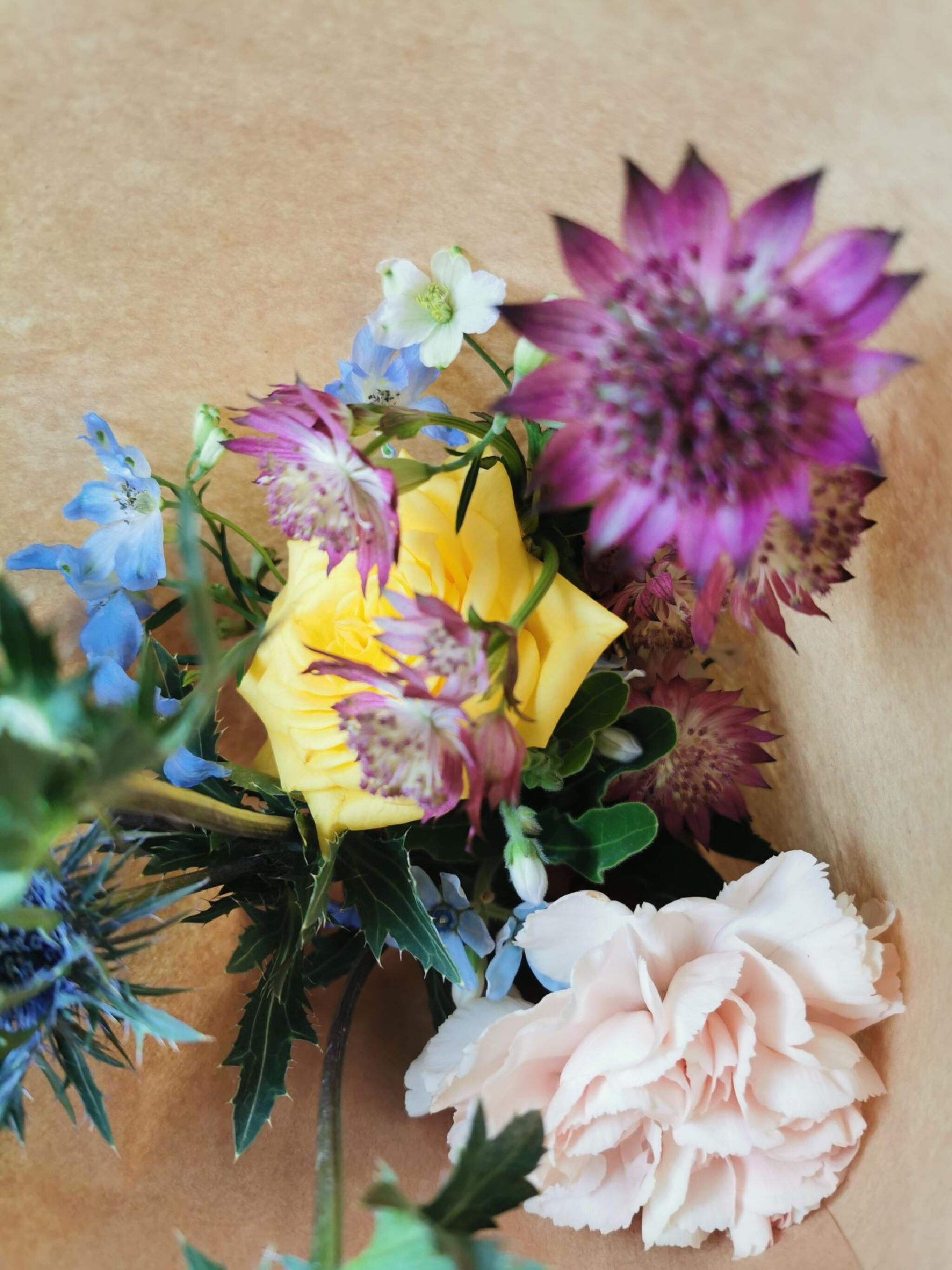 日比谷花壇 天神TOIRO店 - 福岡市中央区天神/花屋 | Yahoo!マップ