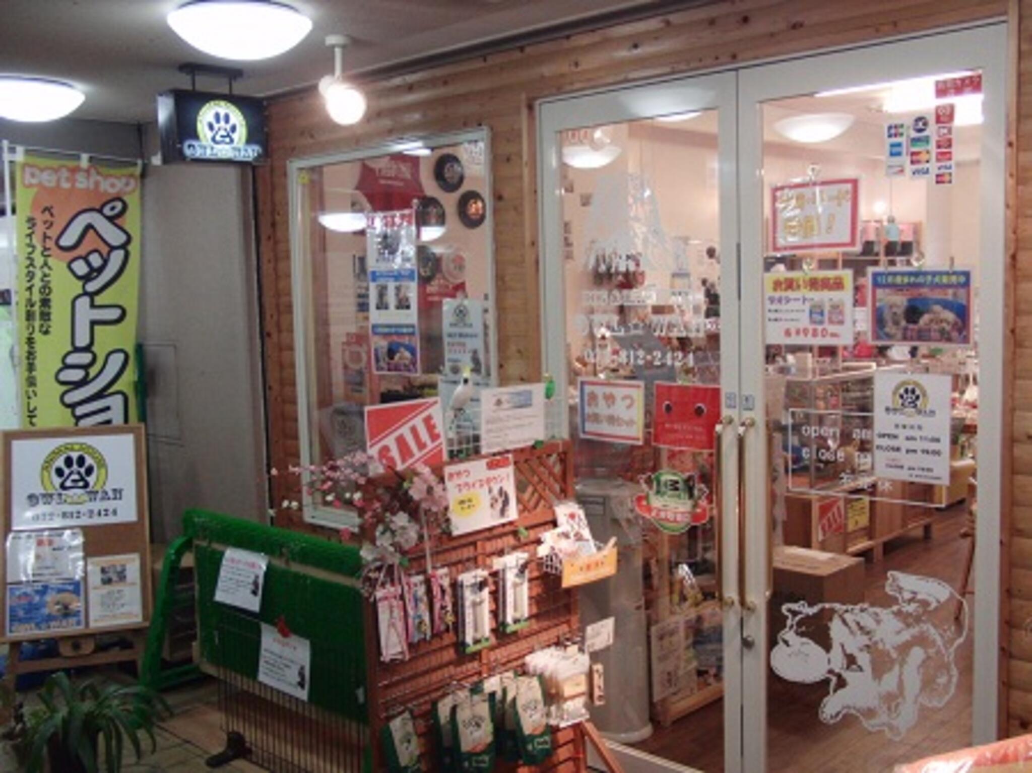 OWL☆WAN - 寝屋川市打上元町/ペットショップ | Yahoo!マップ