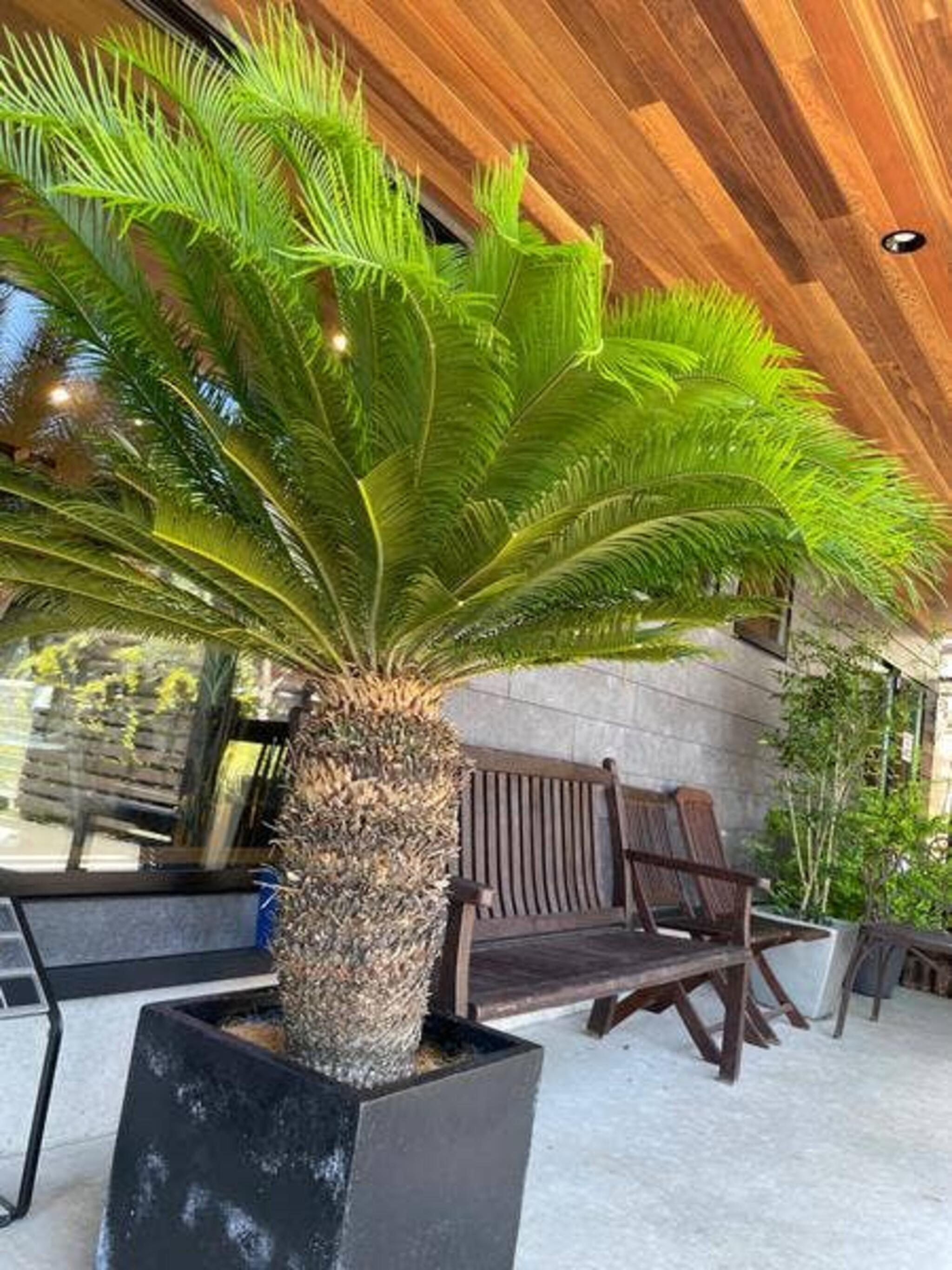 OCgarden - 新潟市西蒲区竹野町/カフェ・喫茶 | Yahoo!マップ