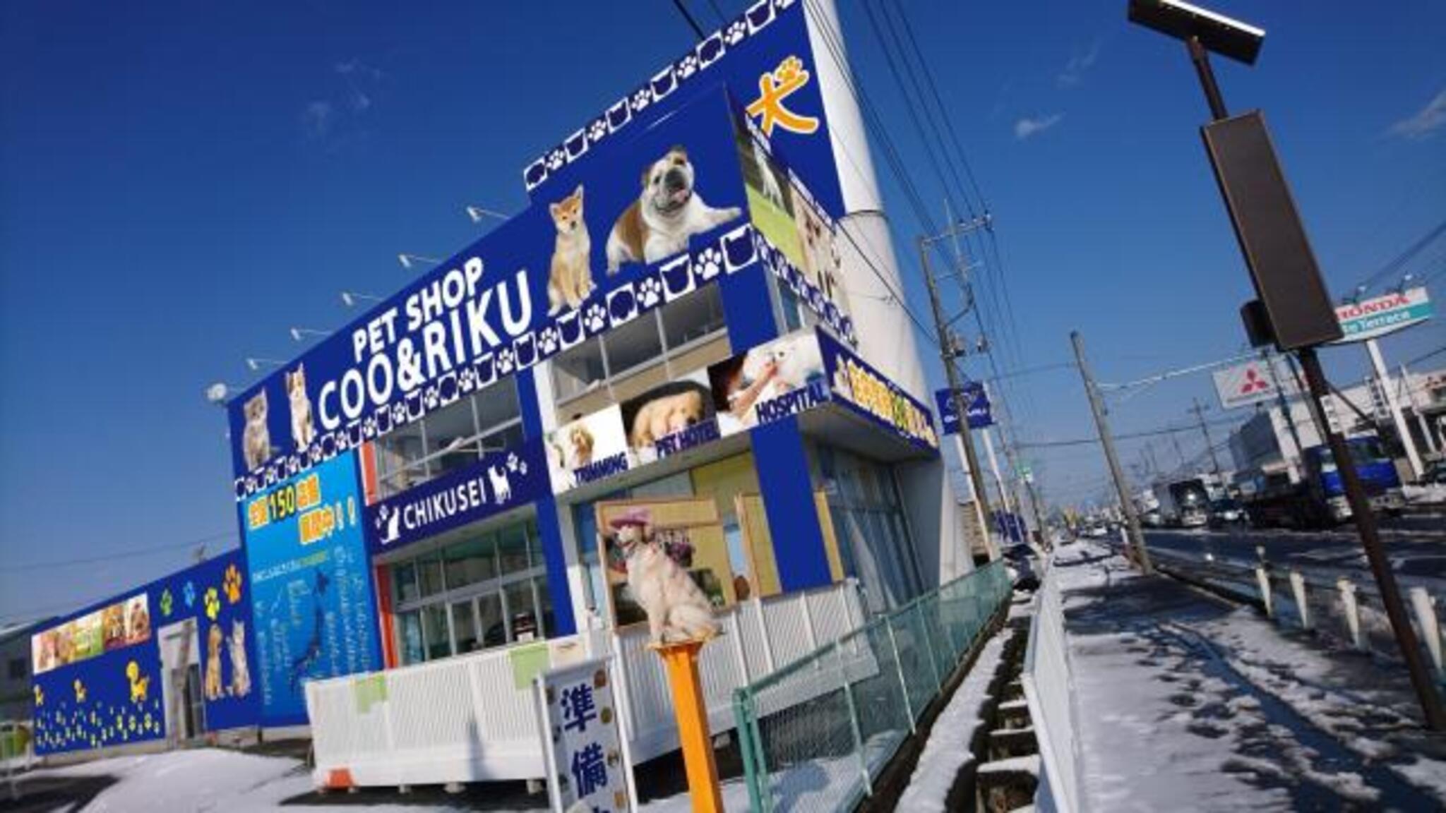 COO&RIKU 筑西店 - 筑西市神分/ペットショップ | Yahoo!マップ