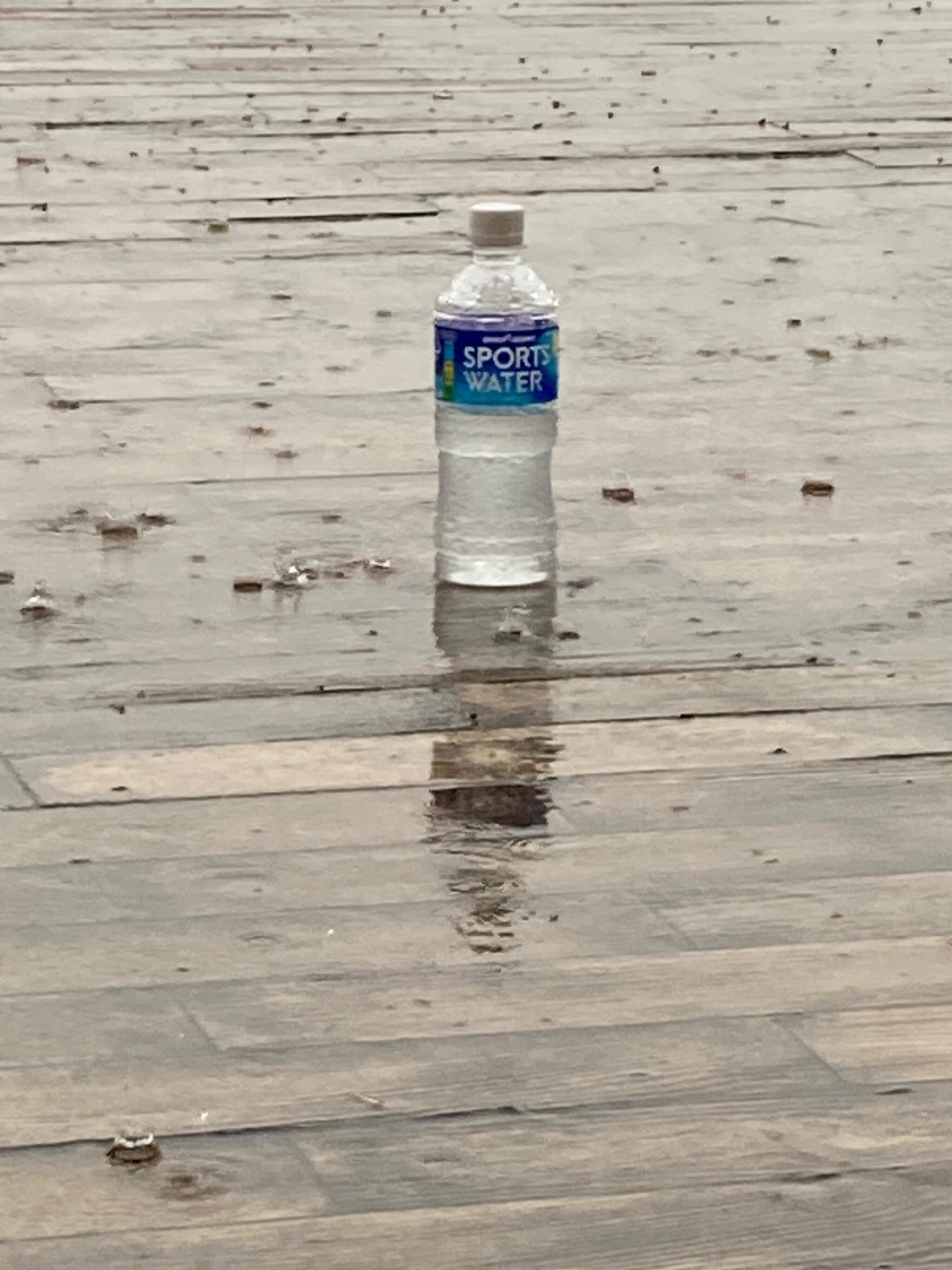 カリブレコード - 大阪市浪速区難波中/中古CD・DVD・ビデオ・レコード店 | Yahoo!マップ