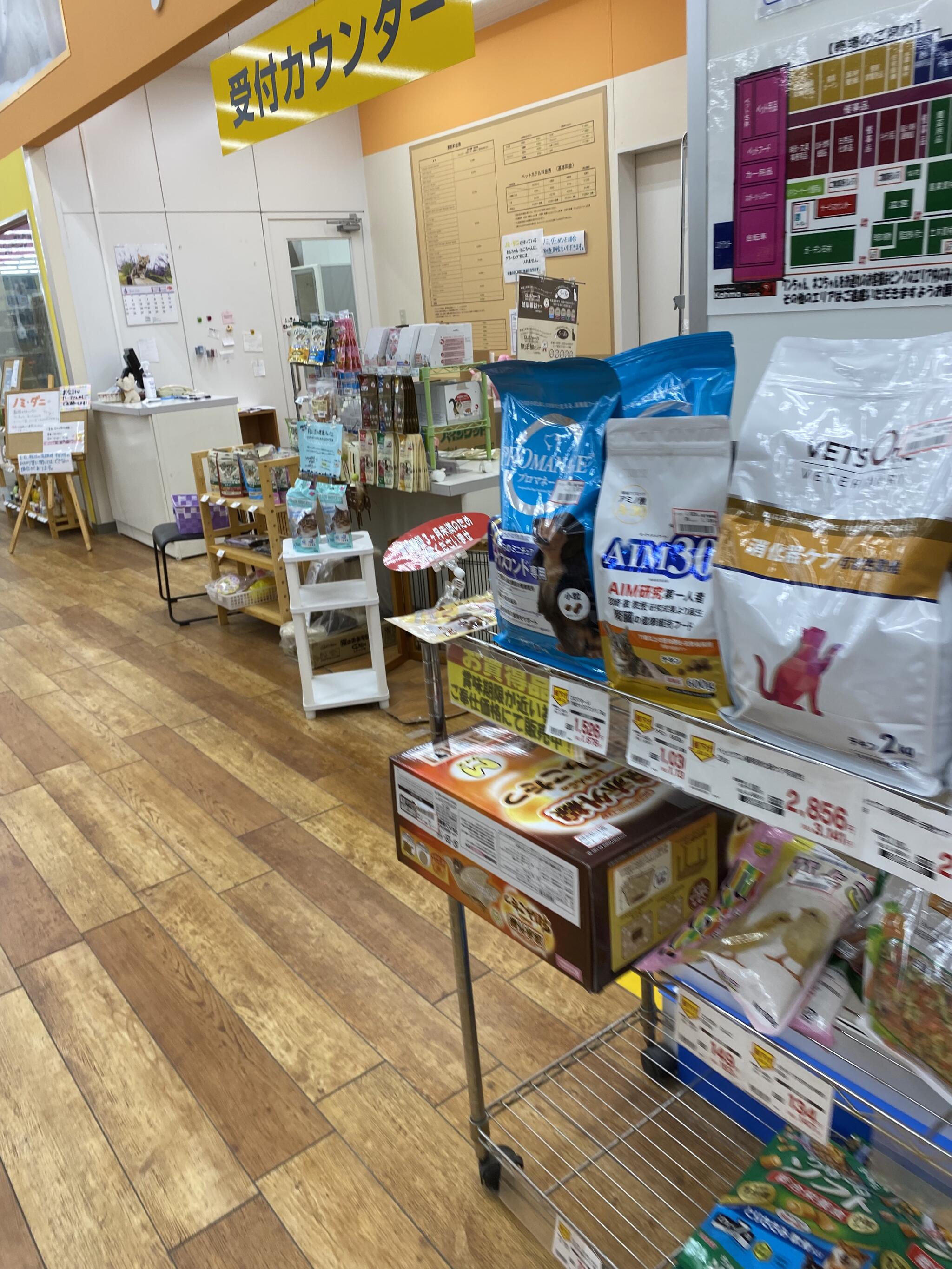 クチコミ : ワンBOXコーポレーションカーマ21小松店 - 小松市不動島町/ペットショップ | Yahoo!マップ