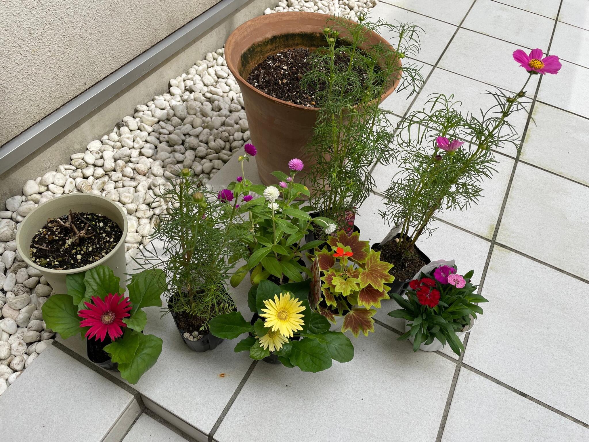 DCM 21豊田店 - 豊田市上挙母/ホームセンター | Yahoo!マップ