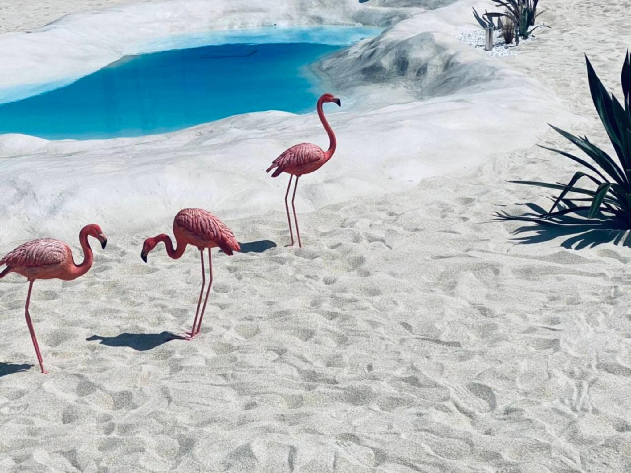 DREAM DOOR FUKUOKA ON THE BEACH - 福岡市東区香椎照葉/バーベキュー店 | Yahoo!マップ