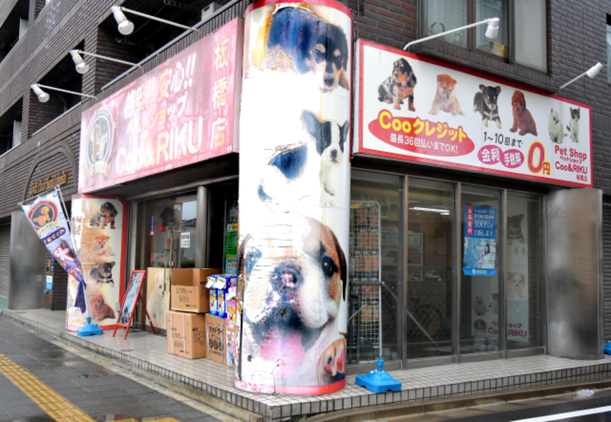 COO&RIKU 板橋店 - 板橋区上板橋/ペットショップ | Yahoo!マップ