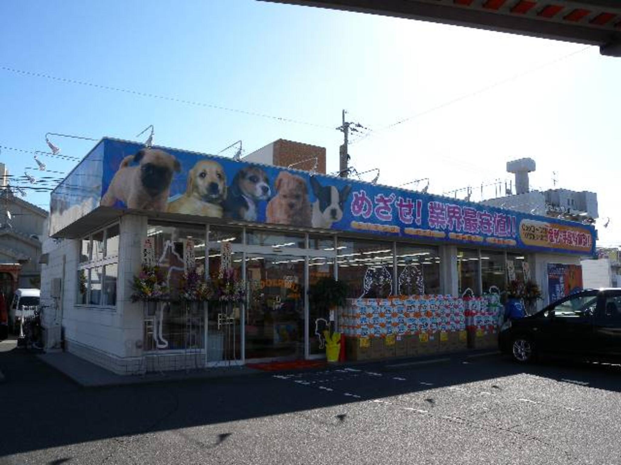 COO&RIKU 鹿児島店 - 鹿児島市宇宿/ペットショップ | Yahoo!マップ