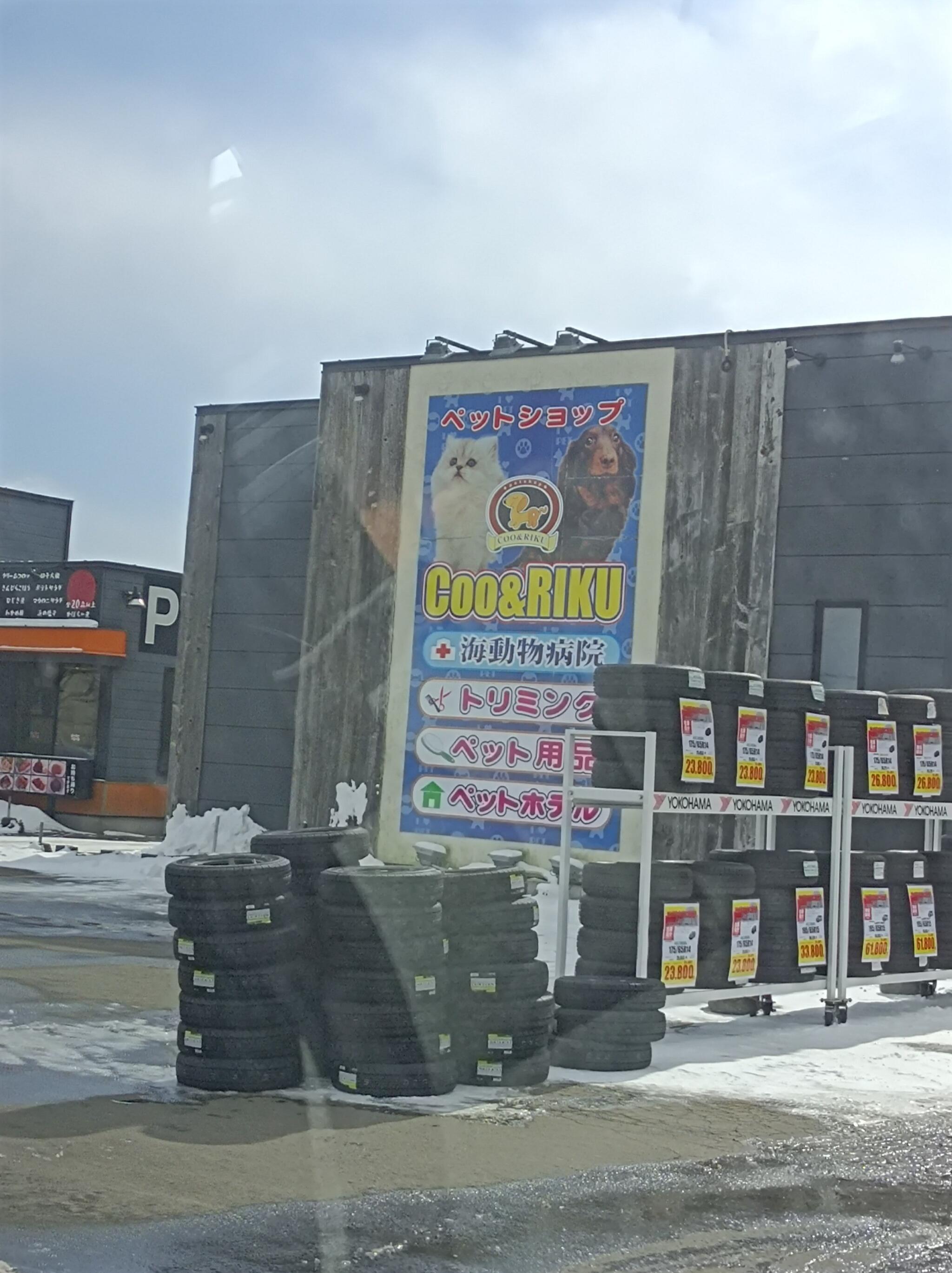 COO&RIKU 釧路店 - 釧路市入江町/ペットショップ | Yahoo!マップ