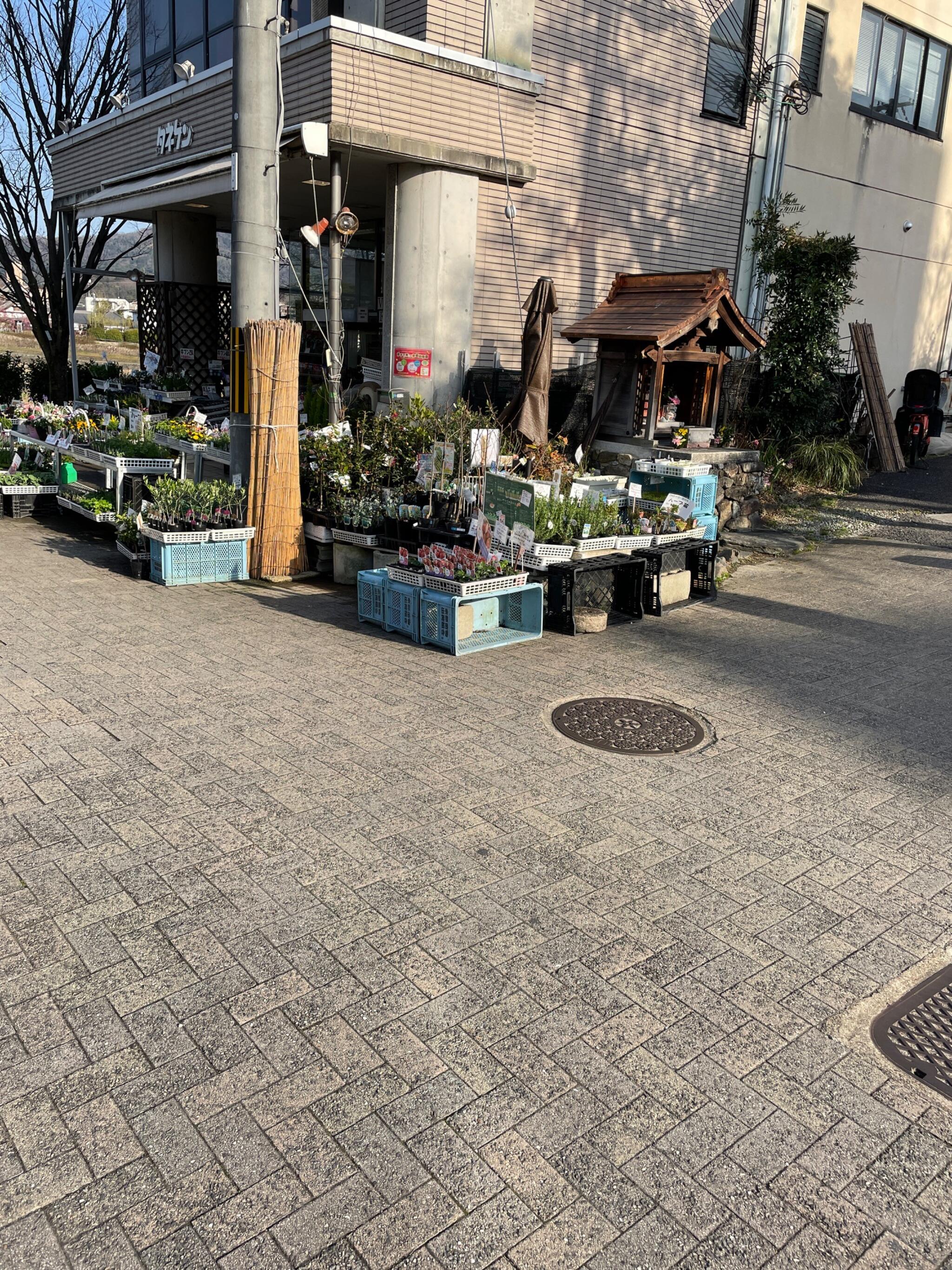 写真 : タネ源 - 京都市上京区青龍町/種苗商 | Yahoo!マップ