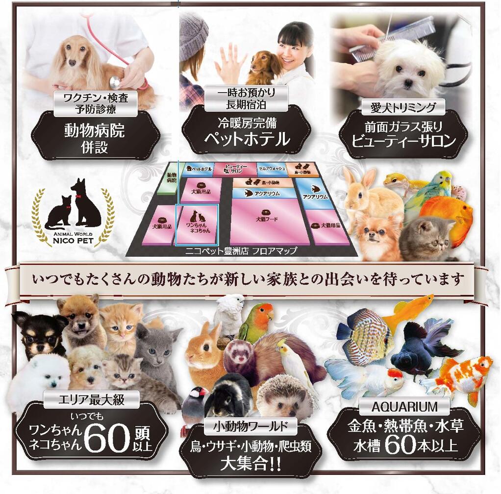 NICO PET（ニコペット） 豊洲店 - 江東区豊洲/ペットショップ | Yahoo!マップ