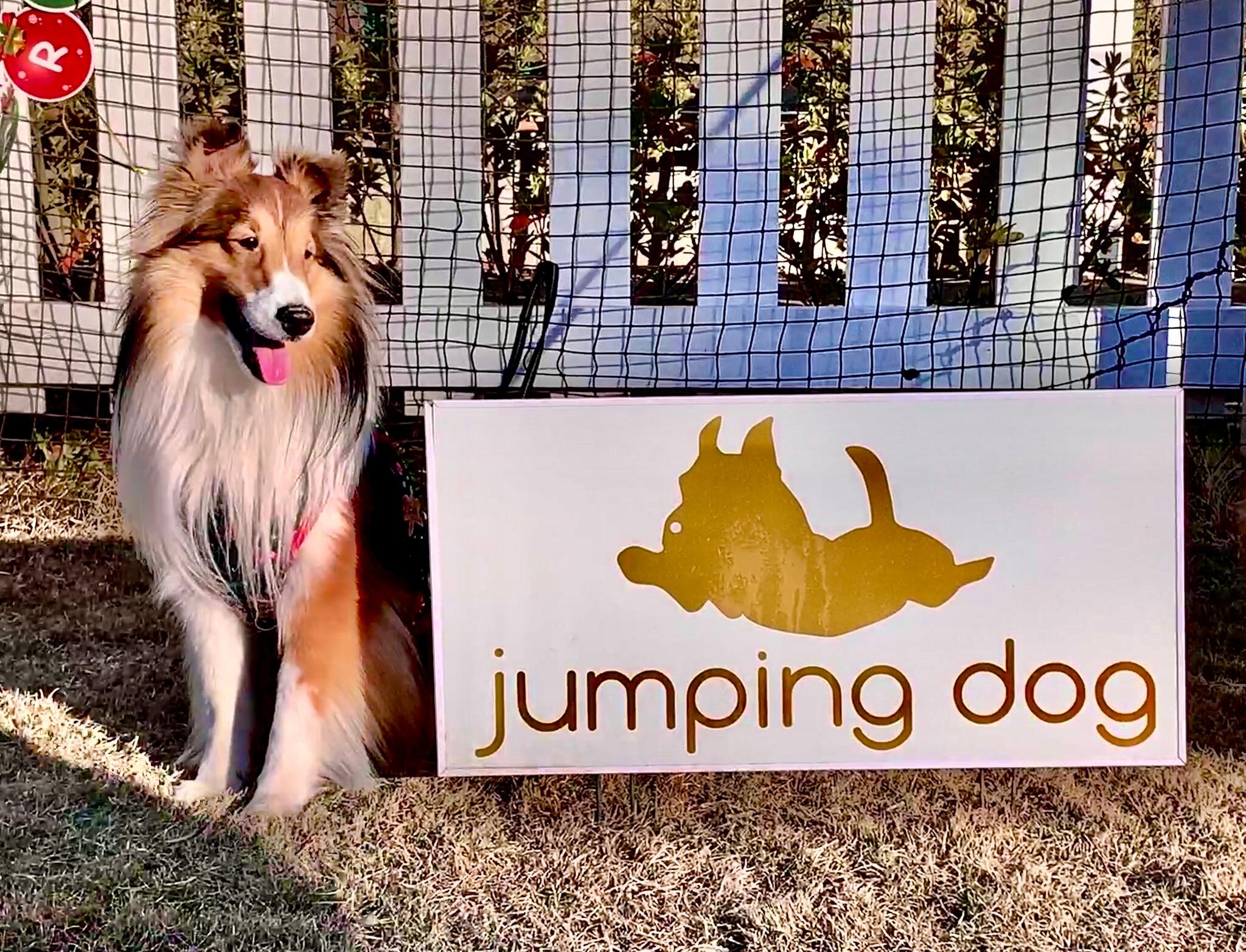 花と里山ドッグラン jumping dog - 佐倉市六崎/ドッグラン | Yahoo!マップ
