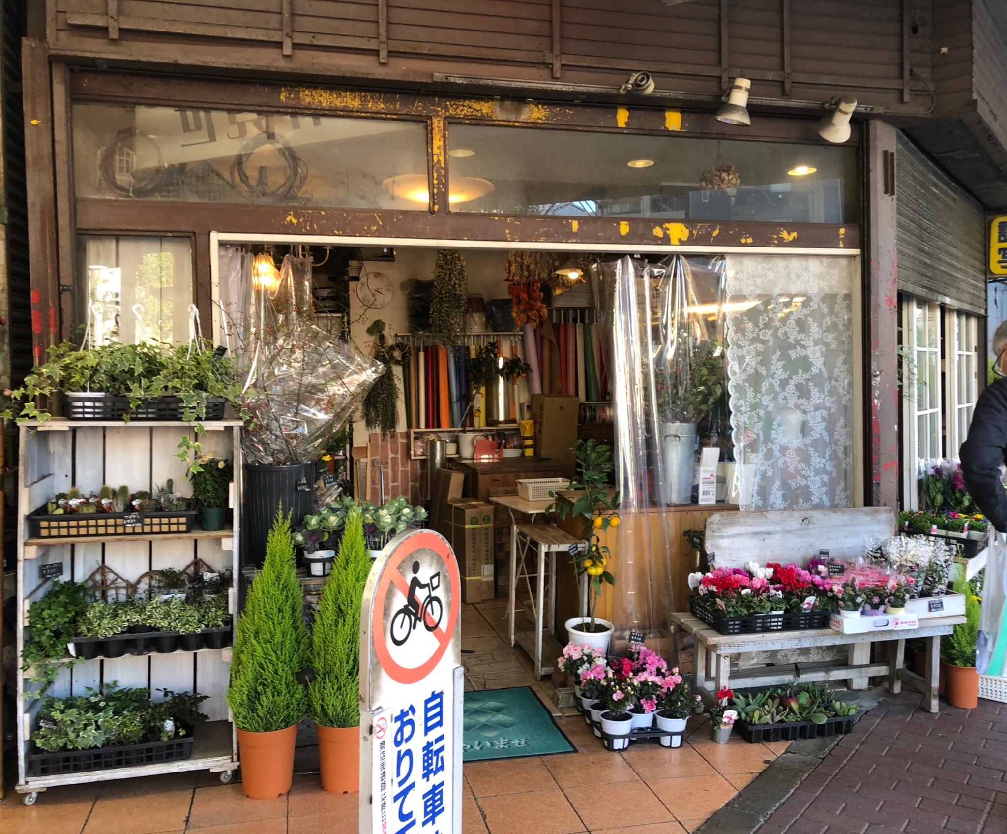 写真 : Nファクトリー - 世田谷区三軒茶屋/花屋 | Yahoo!マップ