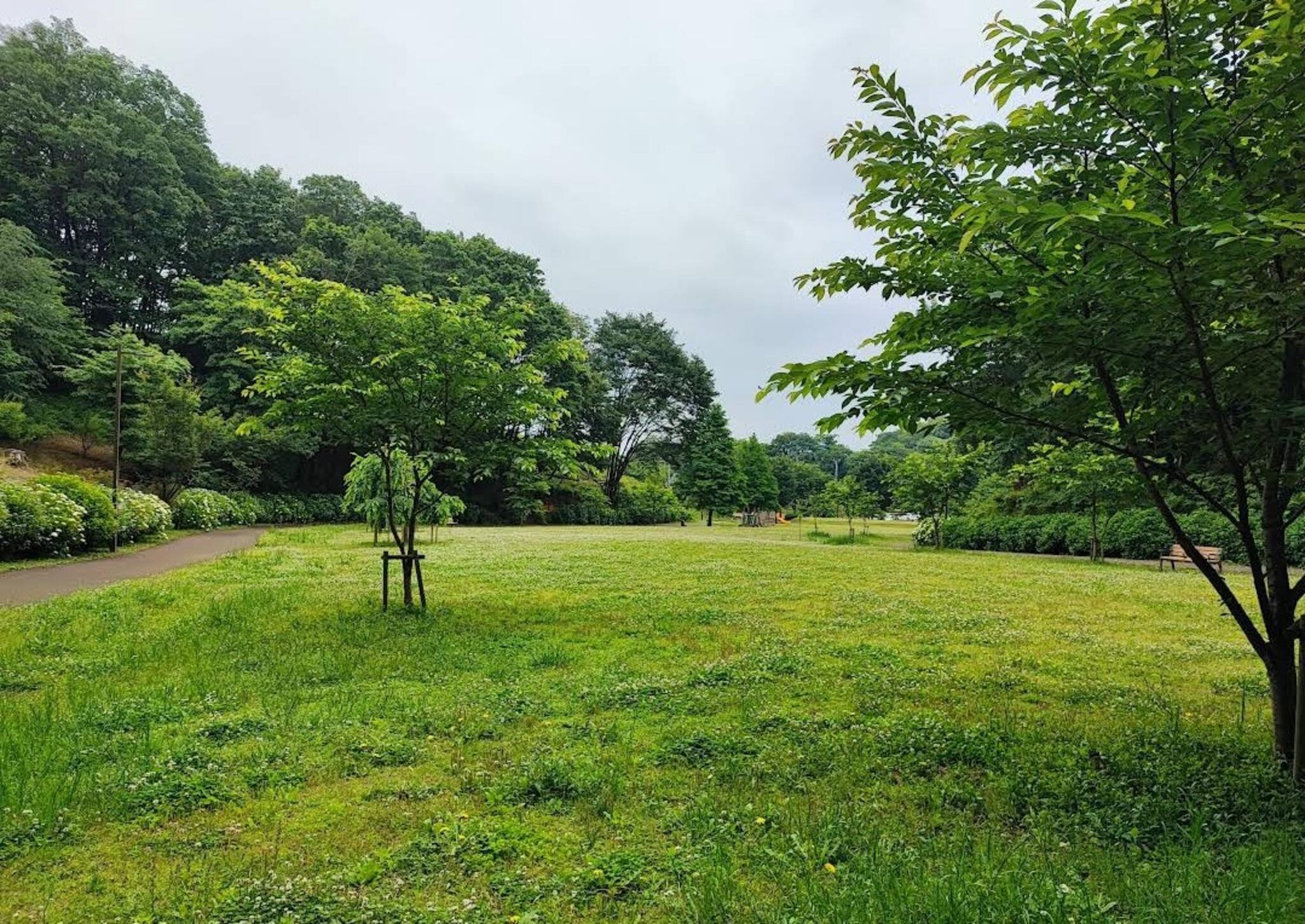 町田市相原町中央スポーツ広場 - 町田市相原町/公園 | Yahoo!マップ