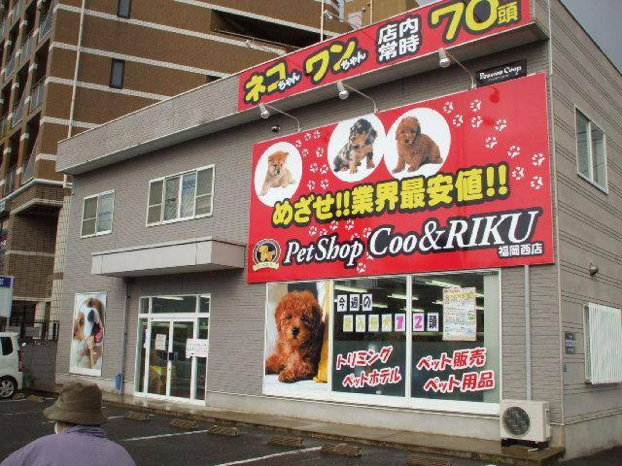 ペットショップCoo&RIKU 福岡西店 - 福岡市西区福重/ペットショップ | Yahoo!マップ