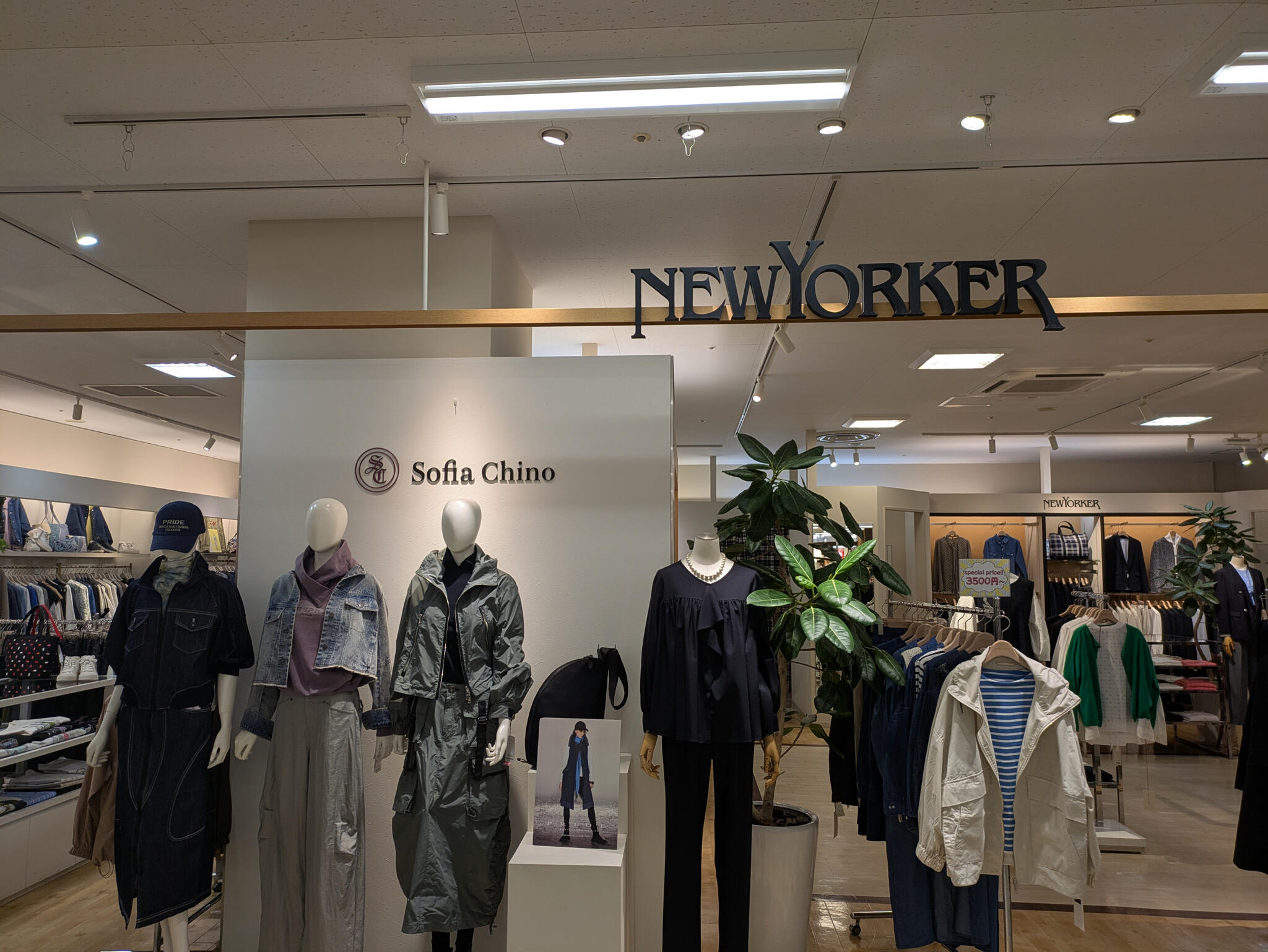 NEWYORKER イオン千歳 WOMEN - 千歳市栄町/衣料品店 | Yahoo!マップ