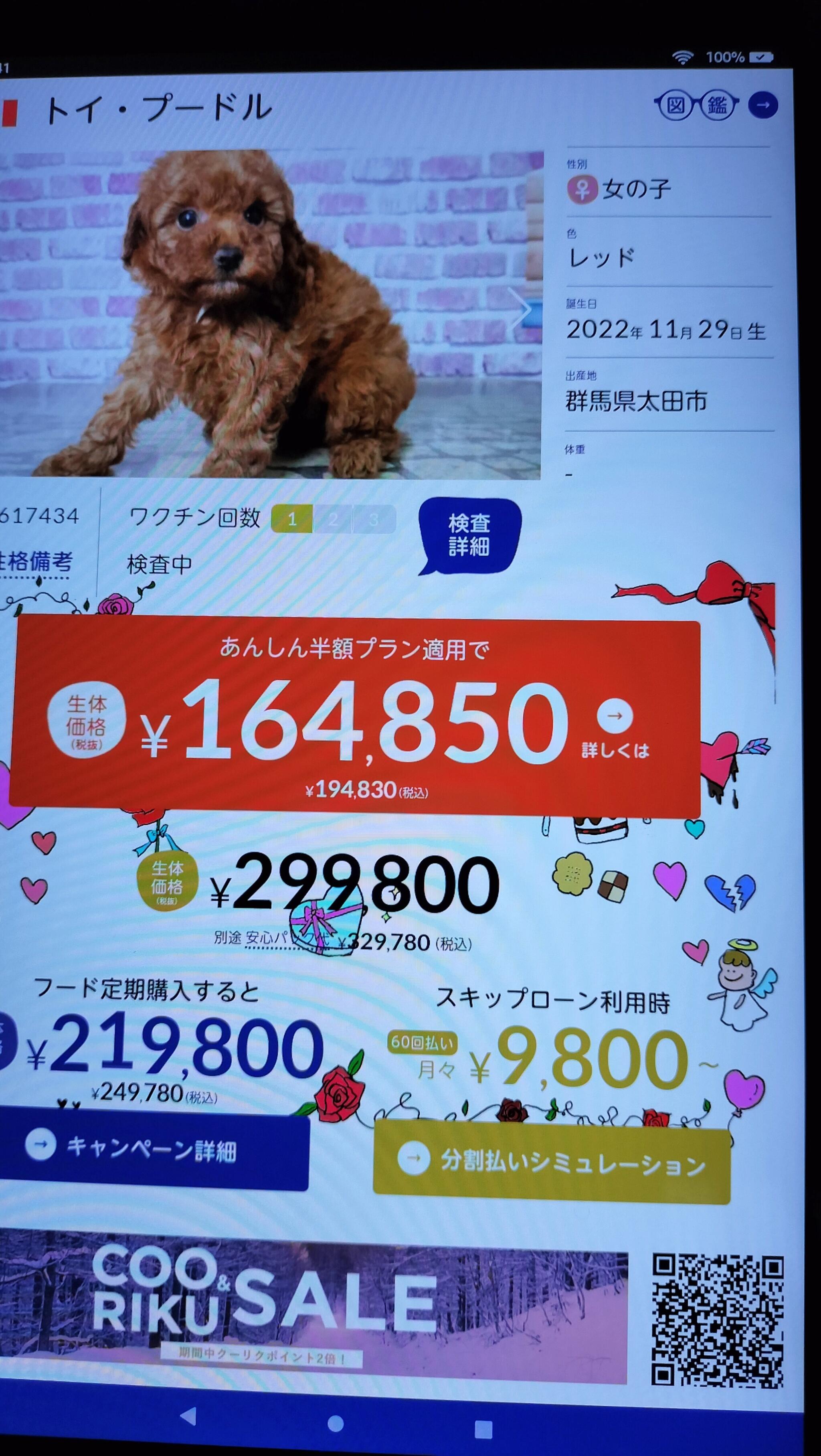 写真 : COO&RIKU 長津田店 - 横浜市緑区長津田みなみ台/猫カフェ | Yahoo!マップ