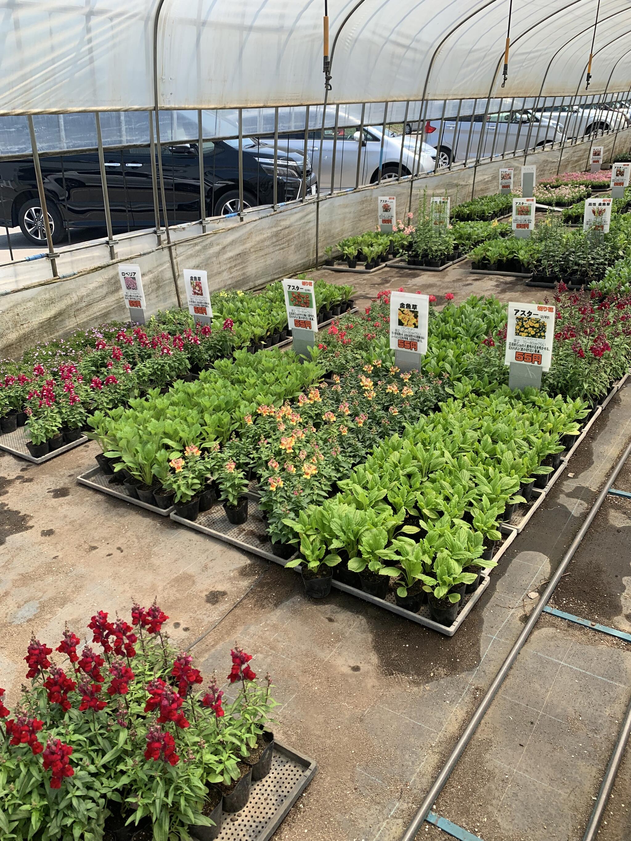 写真 : 花のまつうら - 夕張郡由仁町川端/小売店 | Yahoo!マップ