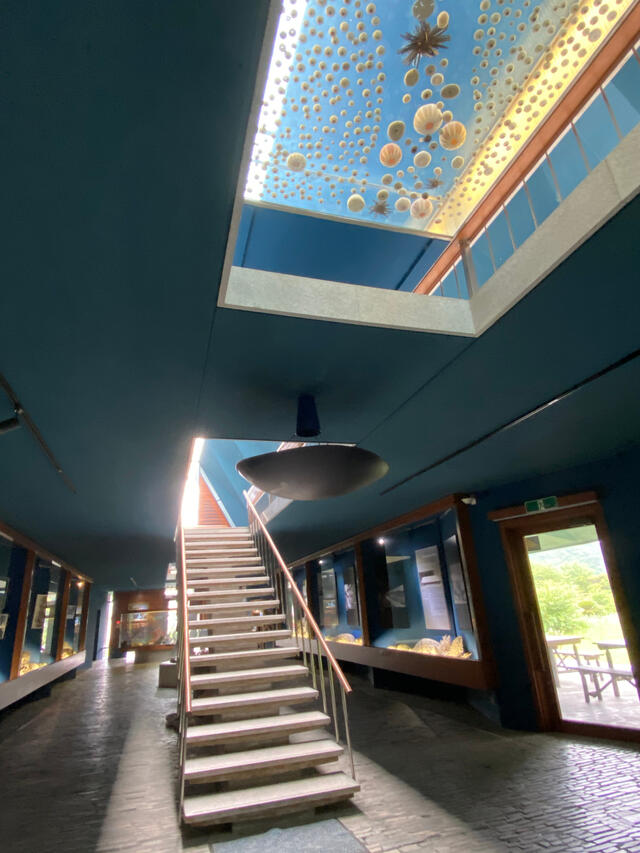 海のギャラリー - 土佐清水市竜串/美術館 | Yahoo!マップ