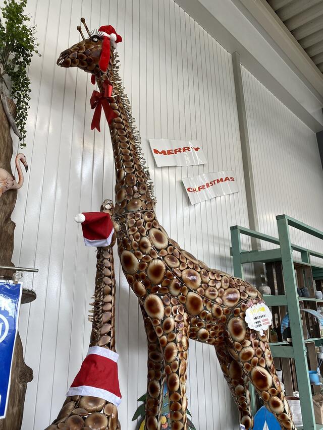 写真 : ホームワイド 新下関店 - 下関市大字石原/ホームセンター | Yahoo!マップ