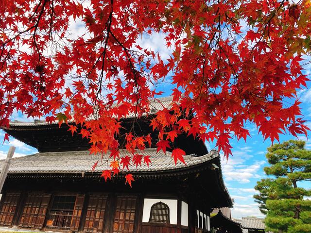 写真 : 瑞泉院 - 京都市左京区黒谷町/寺院 | Yahoo!マップ