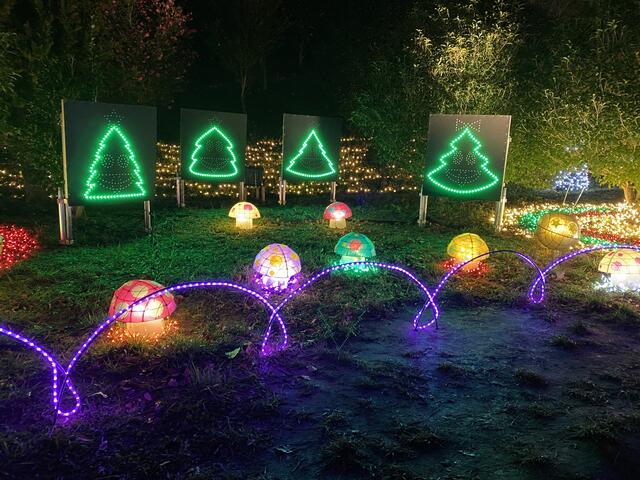 21世紀の森公園 - いわき市常磐湯本町/公園 | Yahoo!マップ