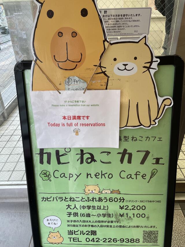 メニュー : カピねこカフェ 吉祥寺 - 武蔵野市吉祥寺南町/カフェ・喫茶 | Yahoo!マップ