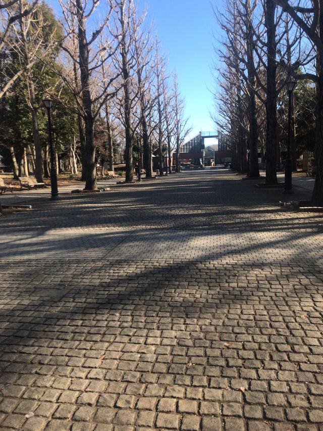 洞峰公園多目的フィールド - つくば市二の宮/スポーツ施設 | Yahoo!マップ