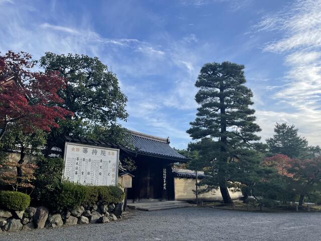 写真 : 等持院 - 京都市北区等持院北町/寺院 | Yahoo!マップ